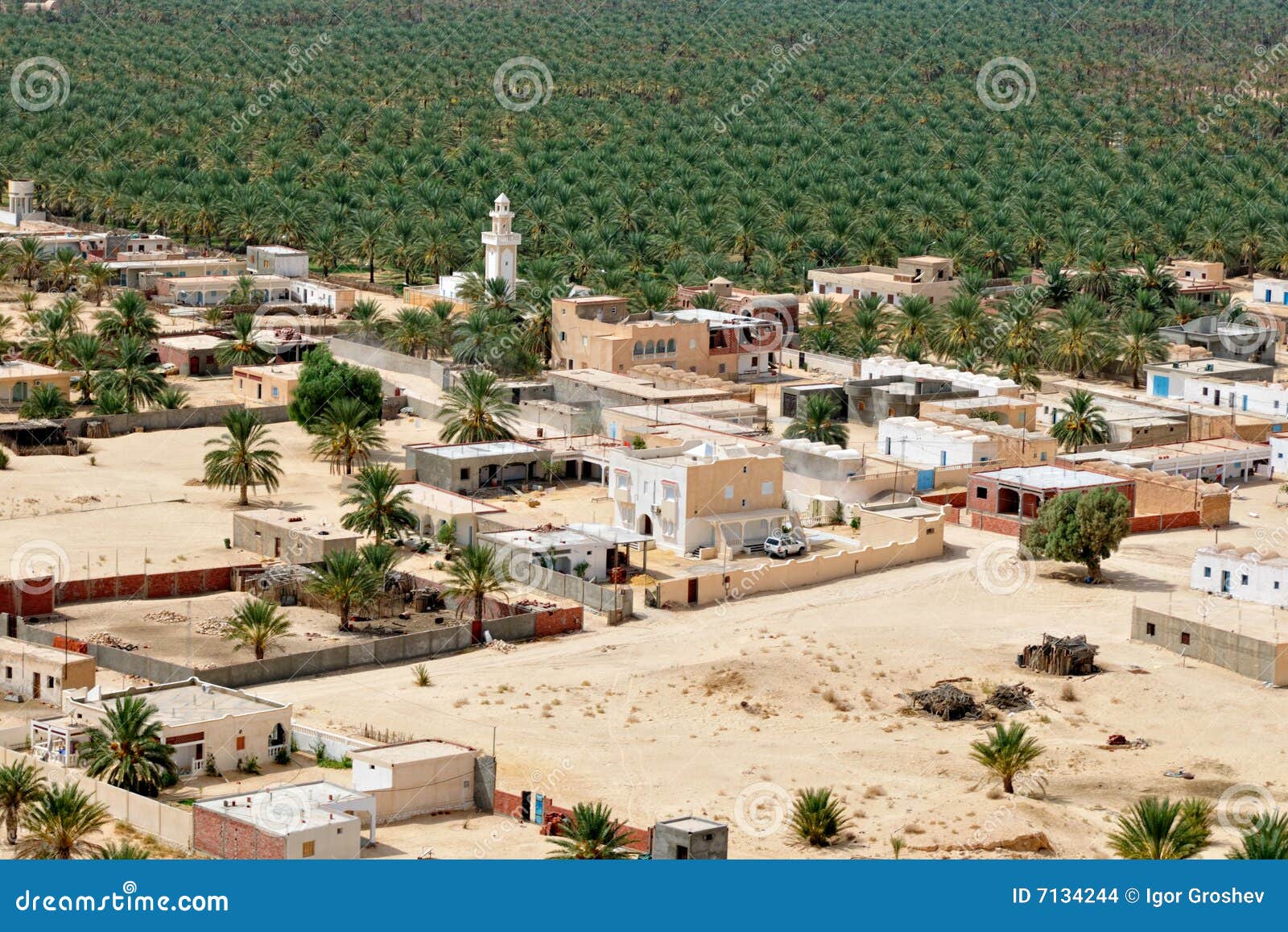Desert oasis stock photo. Image of view, oases, landscape - 7134244