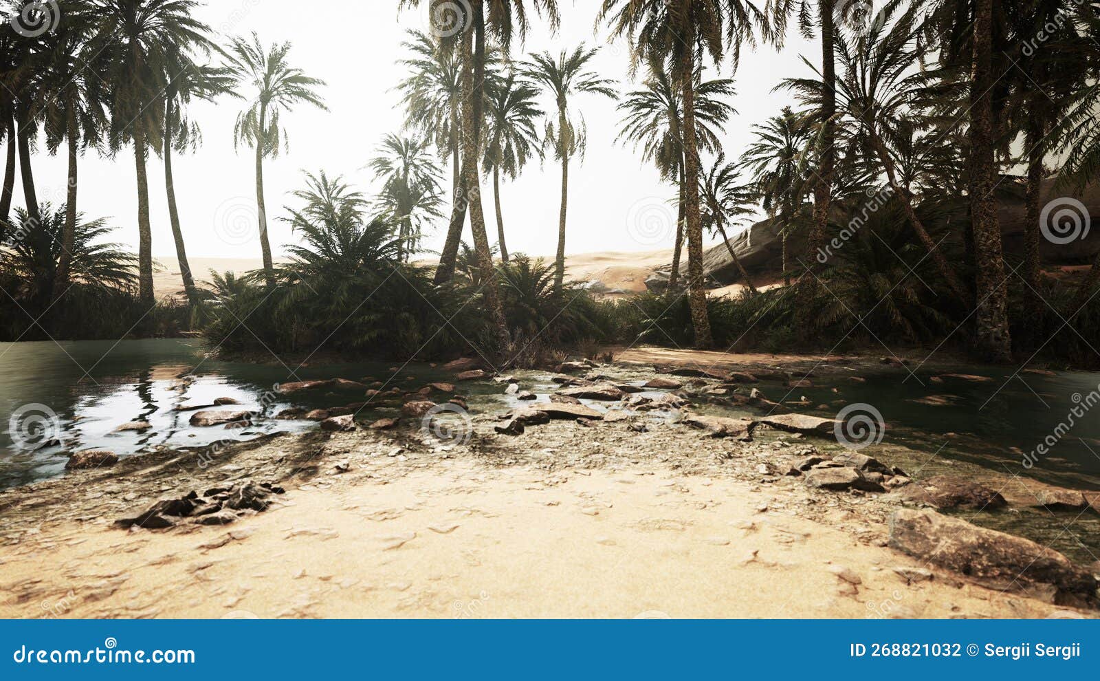 Desert Oasis Pond with Palm Trees and Plants Stock Photo - Image of ...