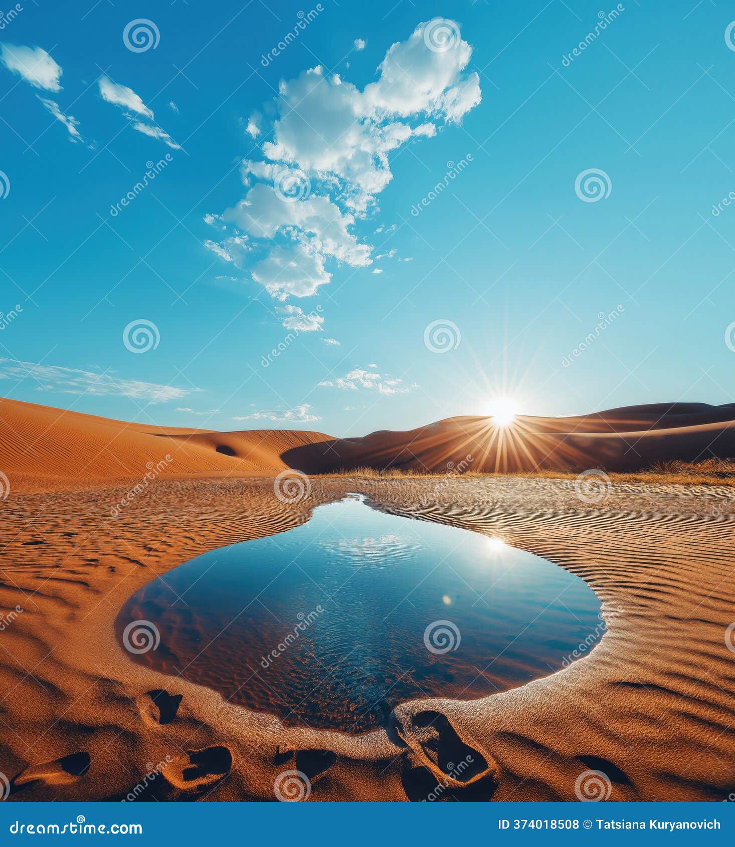 Oasis Reflections: The Desert's Beauty In Augmented Lenses Stock Image ...