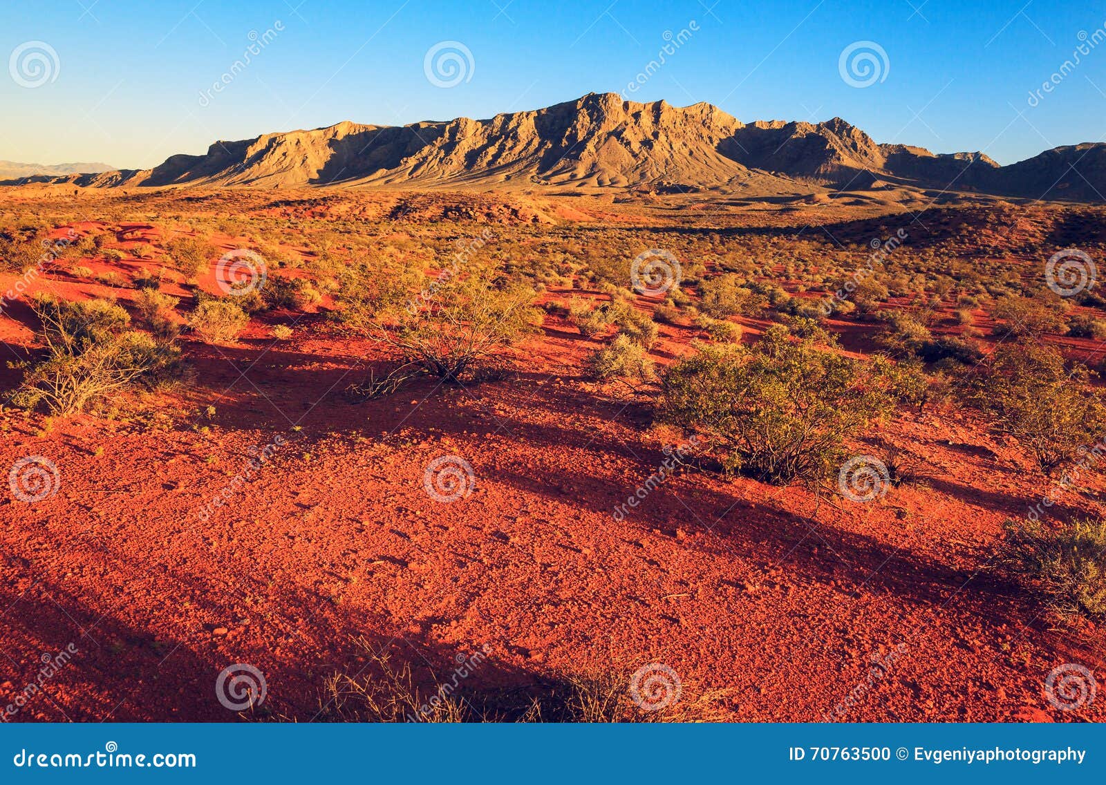 Desert over sunset, Nevada stock photo. Image of arid - 70763500