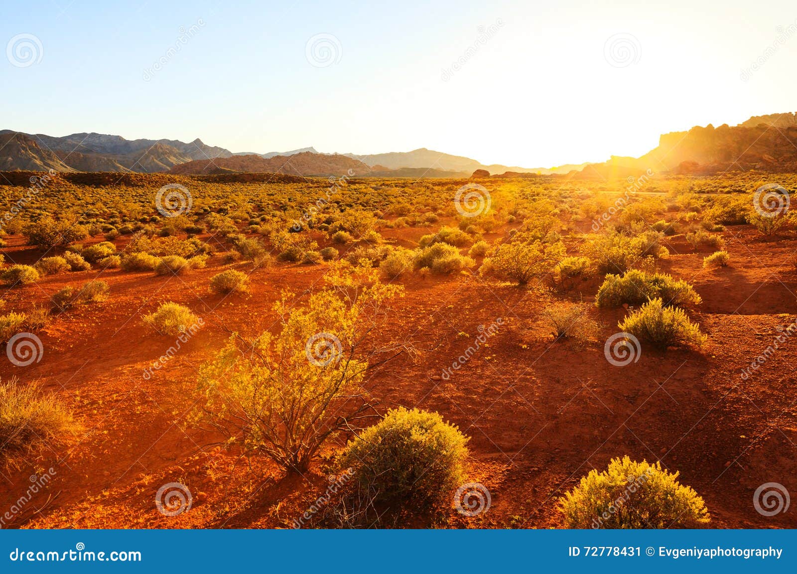 Desert over sunset, Nevada stock image. Image of geology - 72778431