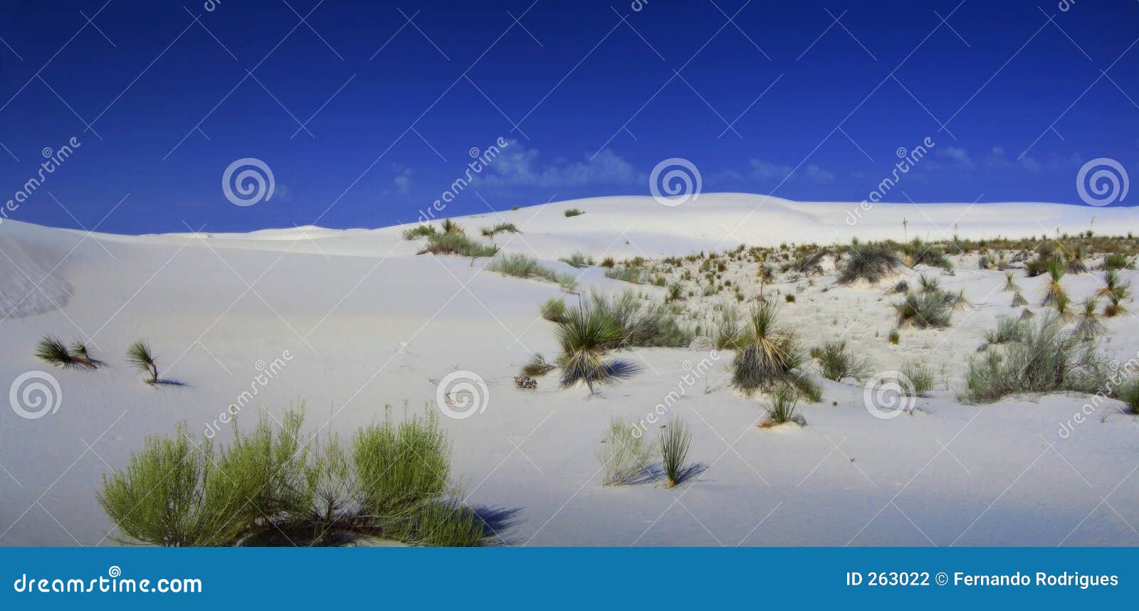Desert panorama stock photo. Image of distant, desolate - 263022