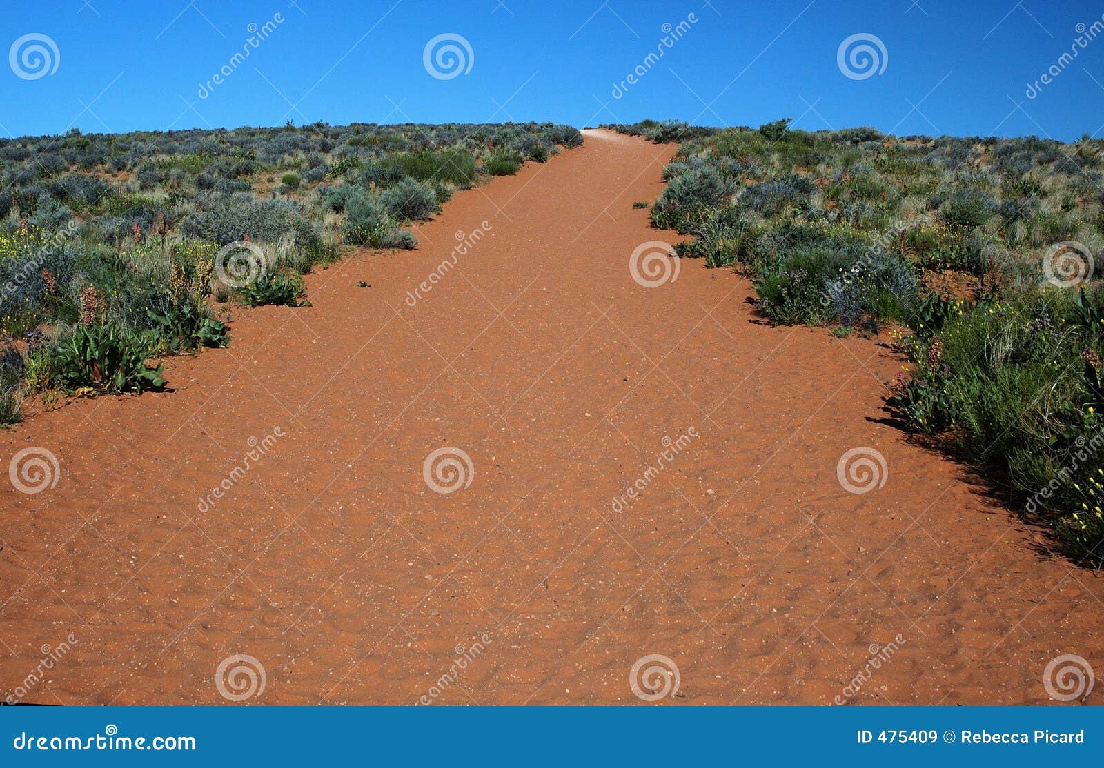 Desert Path stock image. Image of hiking, trail, utah, blue - 475409