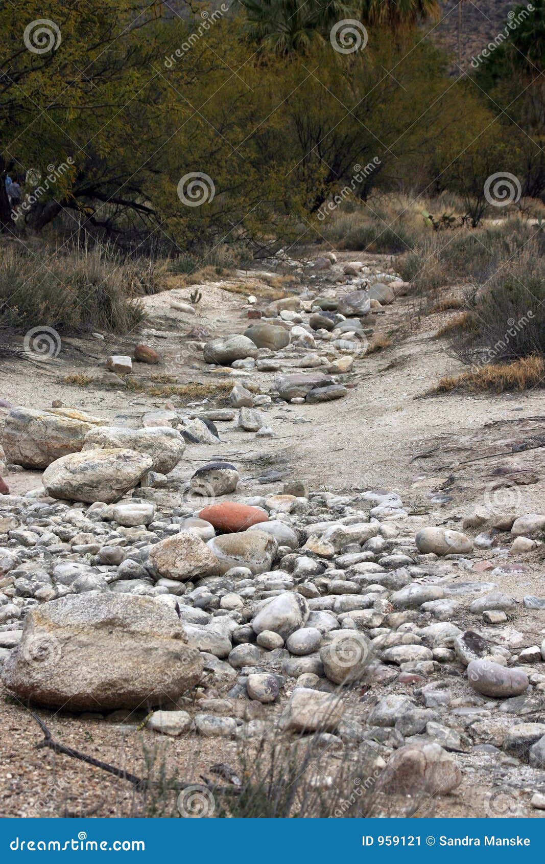 Desert Path stock image. Image of trail, passageway, road - 959121