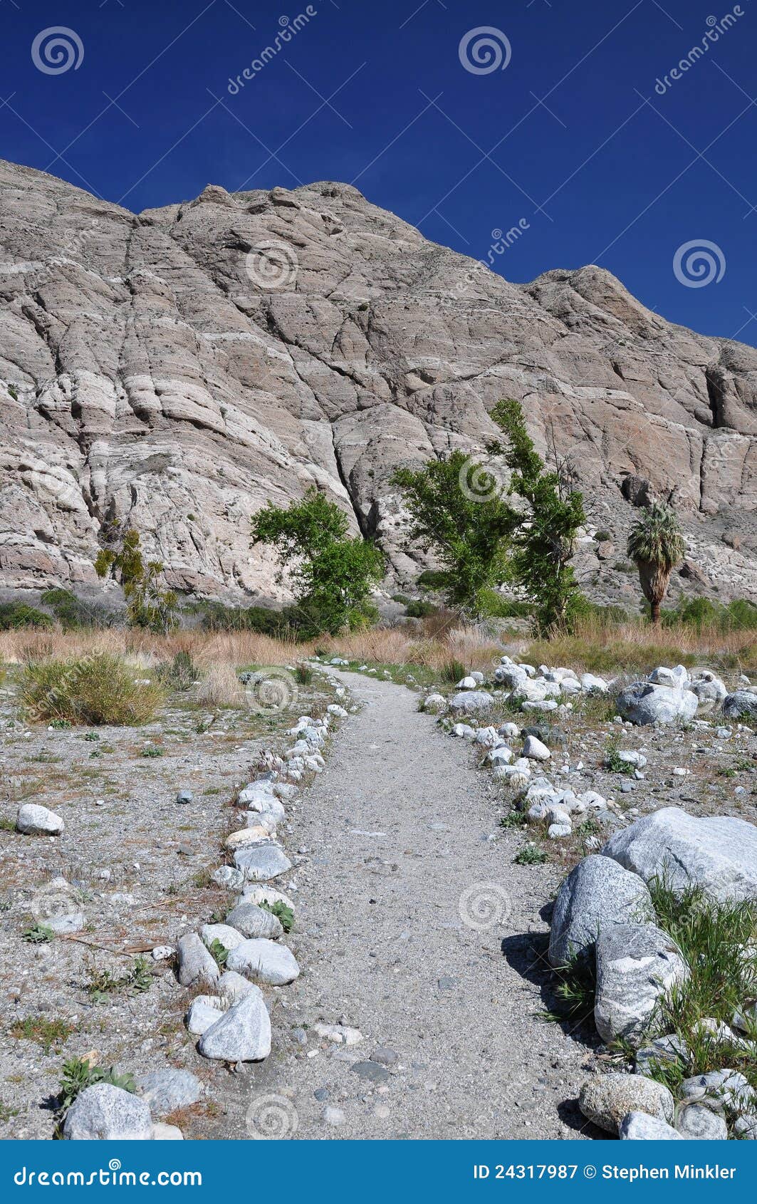 Desert Pathway stock image. Image of environmental, idyllic - 24317987