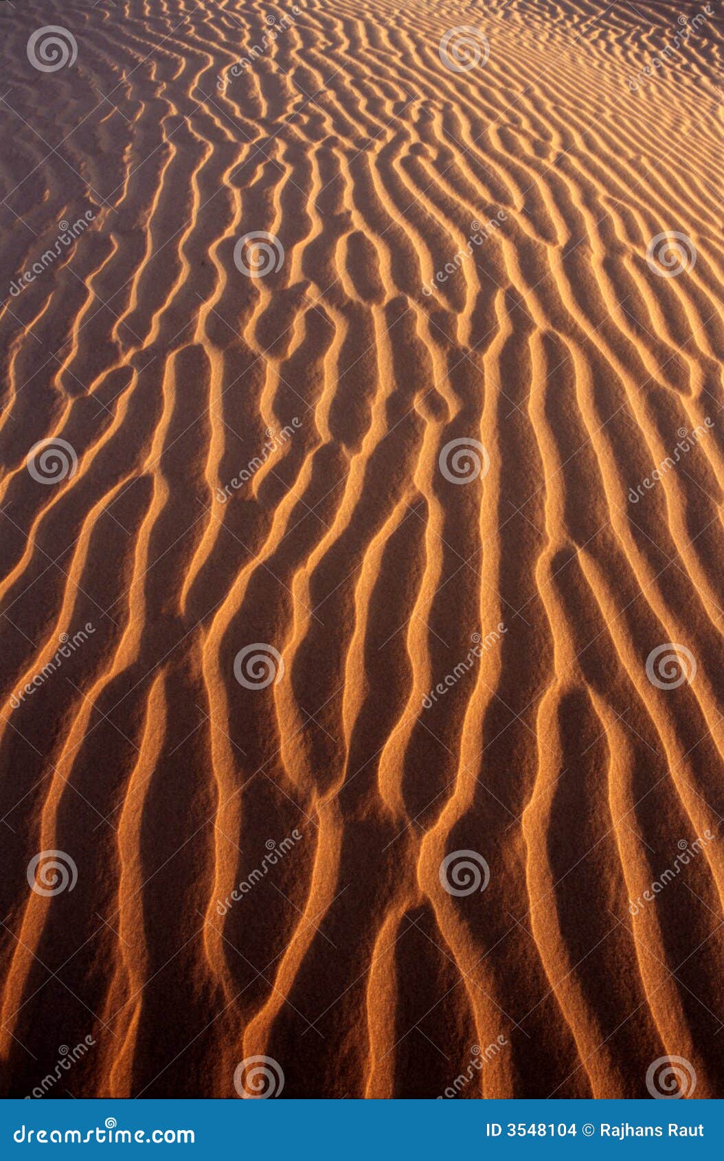 Desert Pattern stock photo. Image of evening, pattern - 3548104