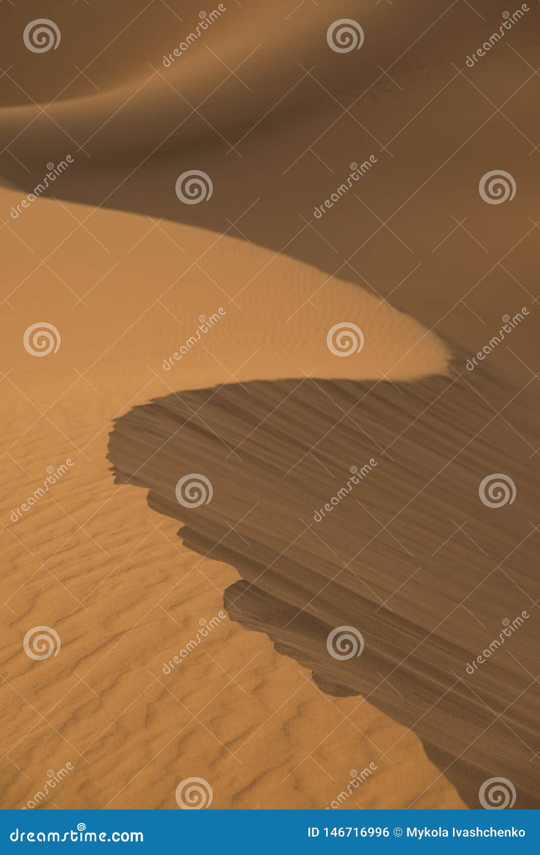 Sand desert pattern stock photo. Image of ripple, yellow - 146716996