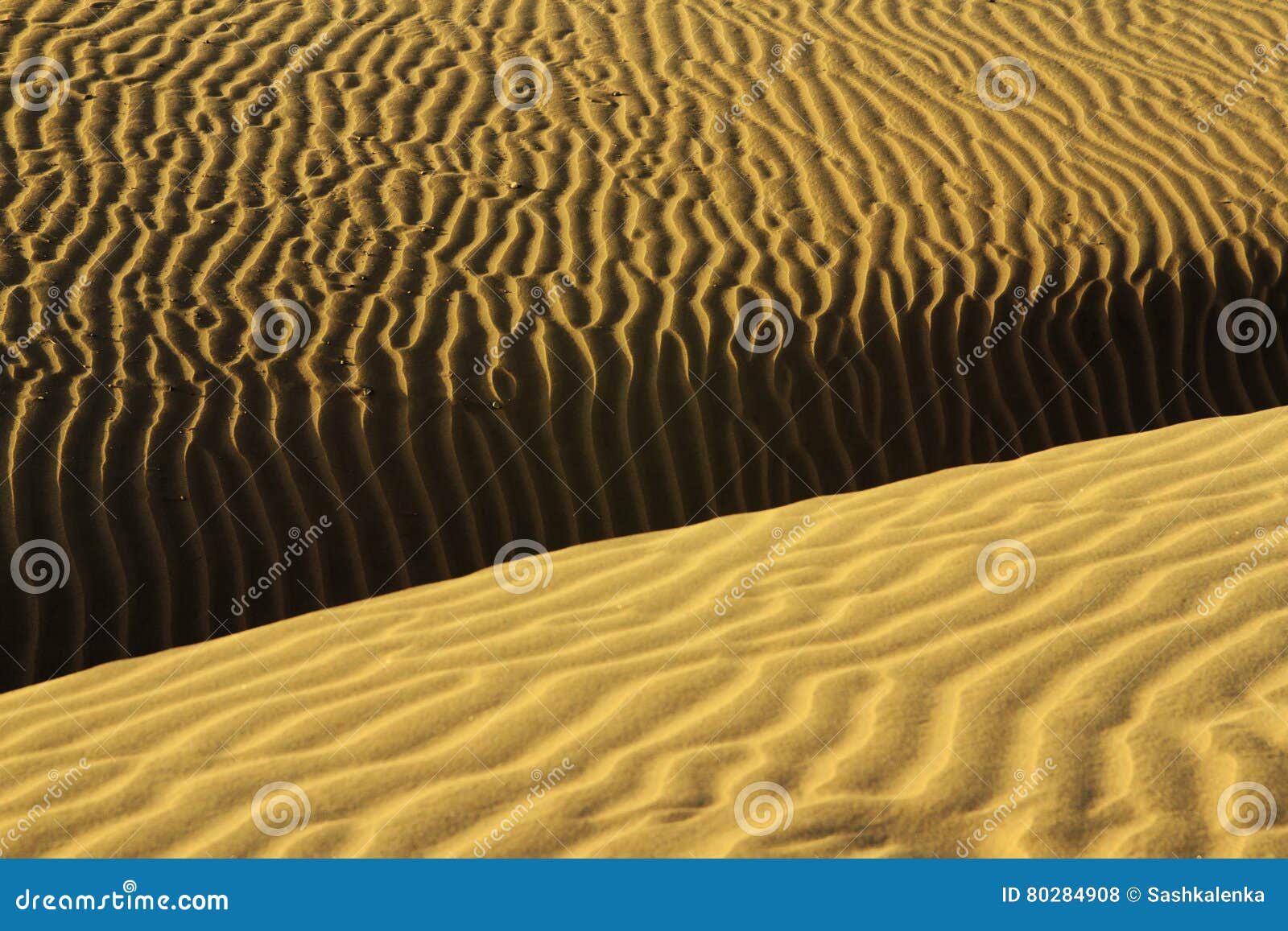 Desert pattern stock photo. Image of pattern, sahara - 80284908