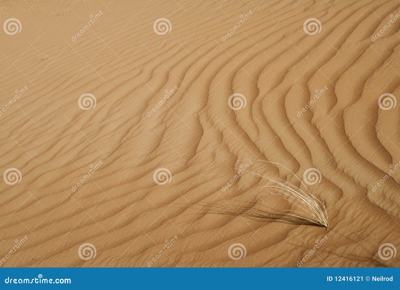 Desert Patterns Royalty-Free Stock Photo | CartoonDealer.com #12416121