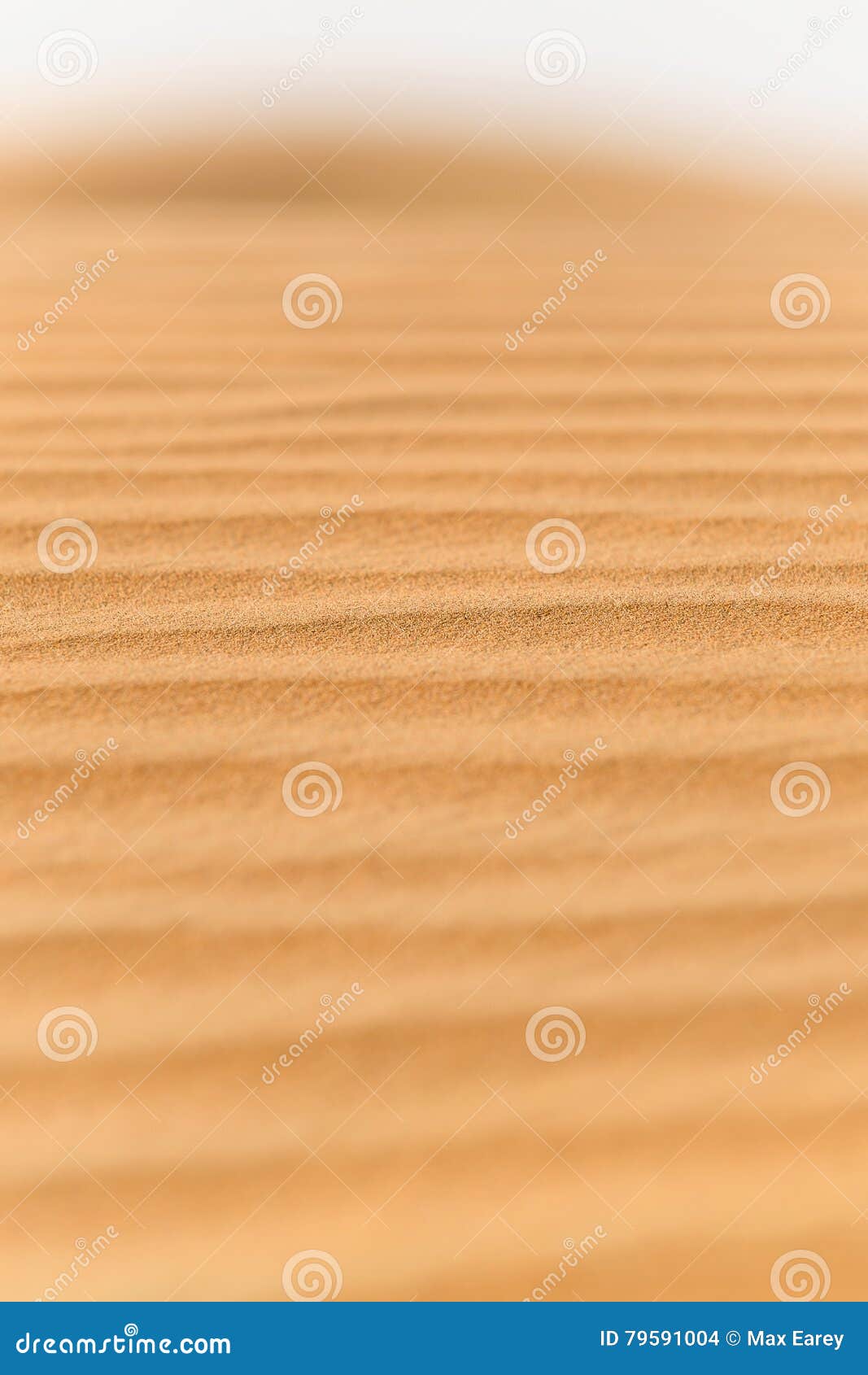 Desert patterns landscape stock photo. Image of east - 79591004