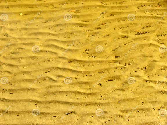 Desert pebbles stock photo. Image of beach, swiming, sand - 248942