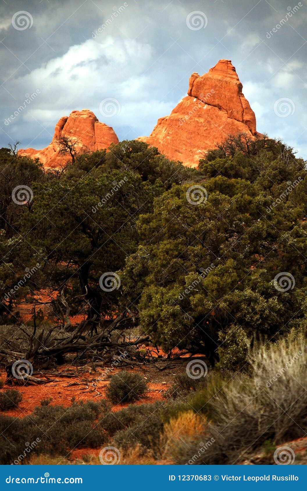 Desert Pinnacle stock image. Image of bush, distant, horizon - 12370683