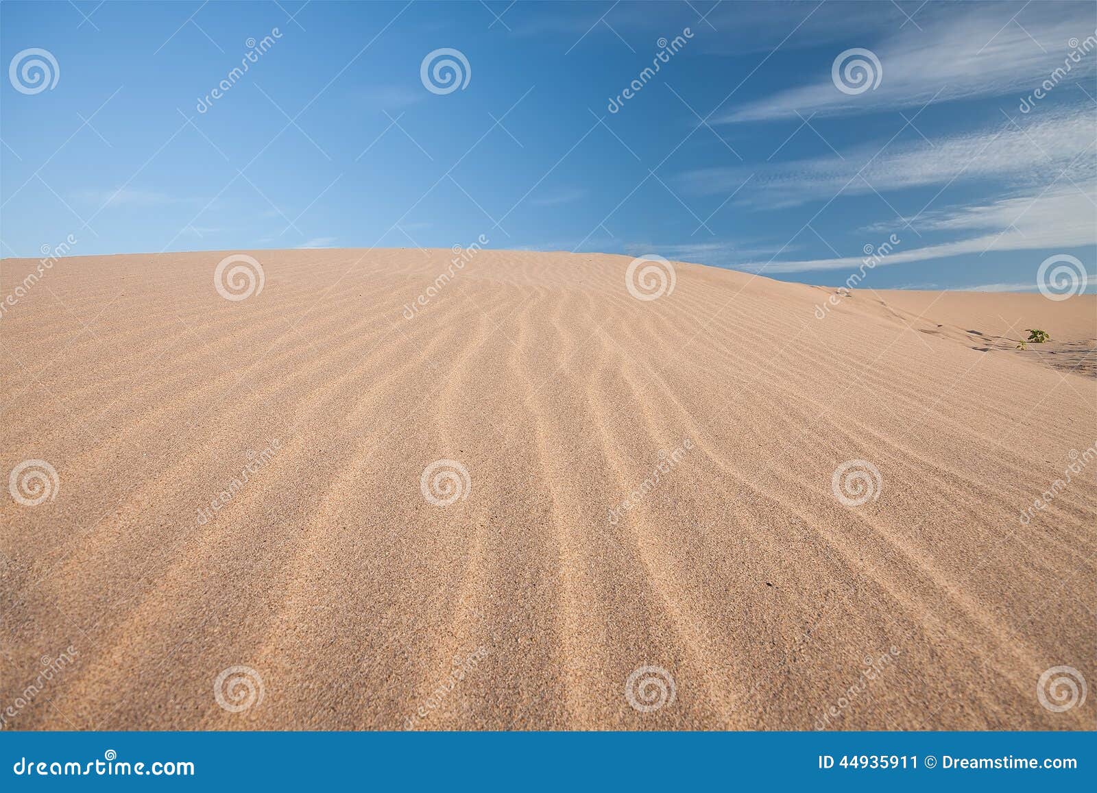 The Desert is a Place that is Very Hot Stock Image - Image of asia ...