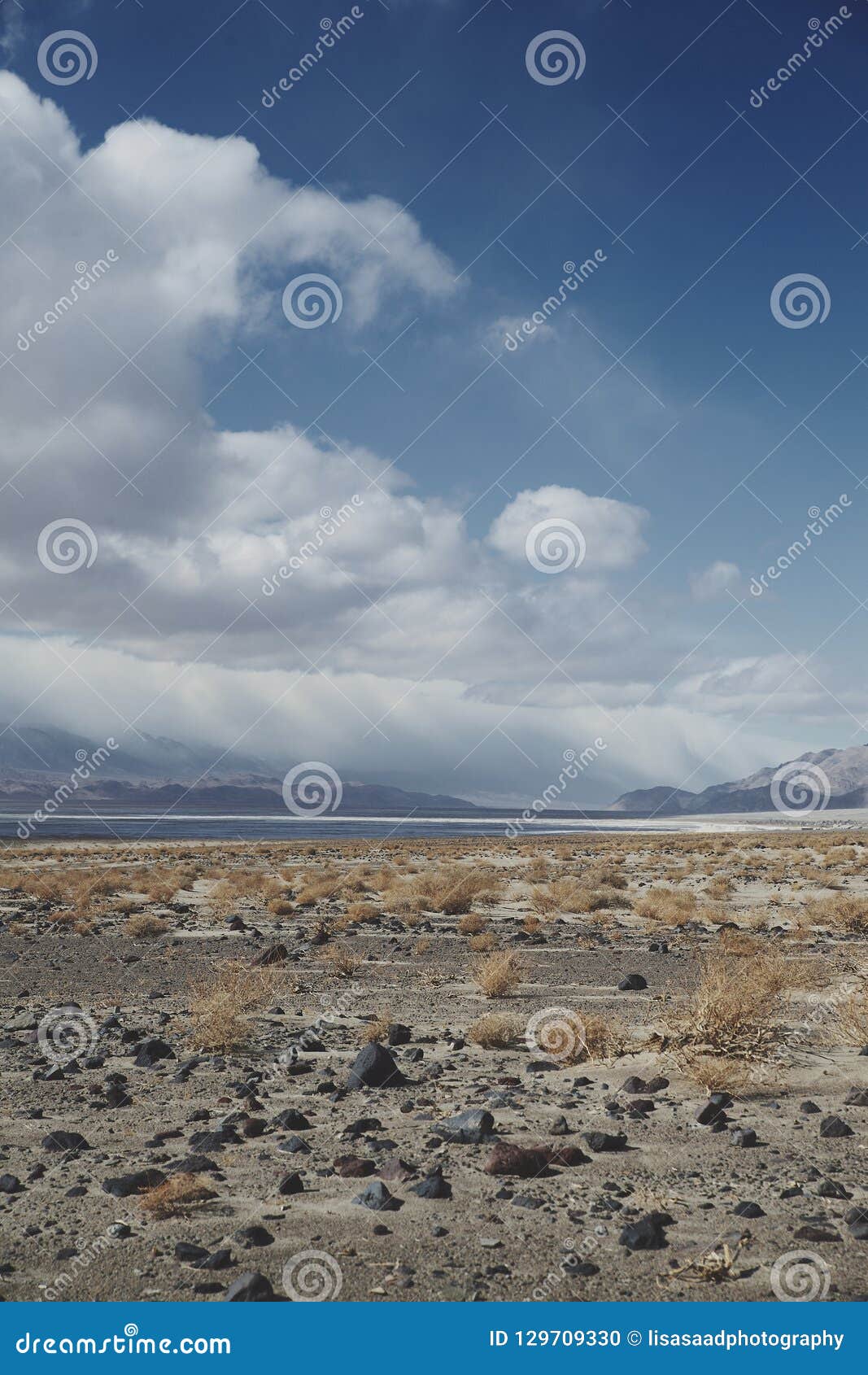 Desert Plain with Small Shrubs and Rocks. Mountains in Distance Stock ...