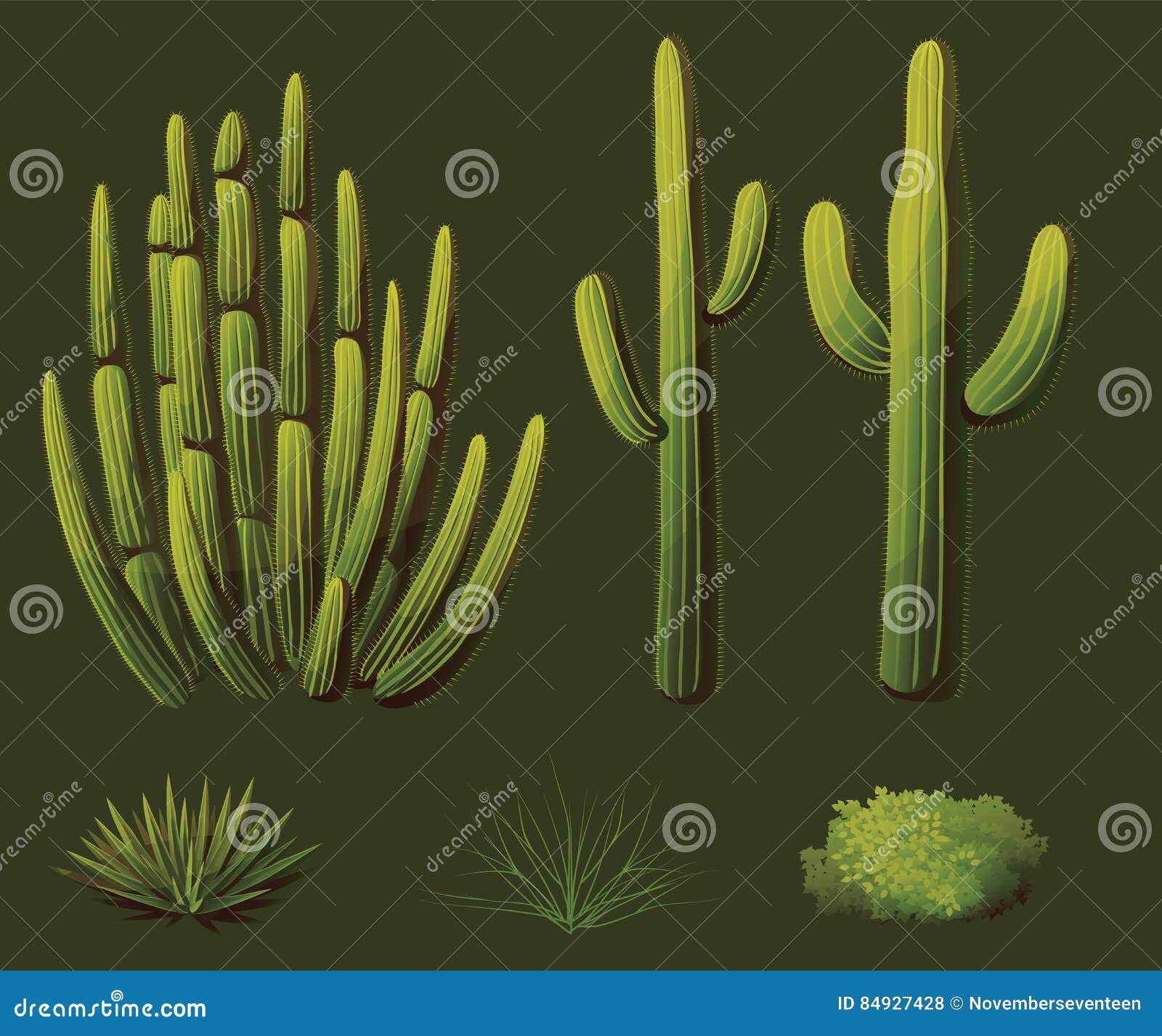 Desert plants. stock vector. Illustration of cacti, object - 84927428