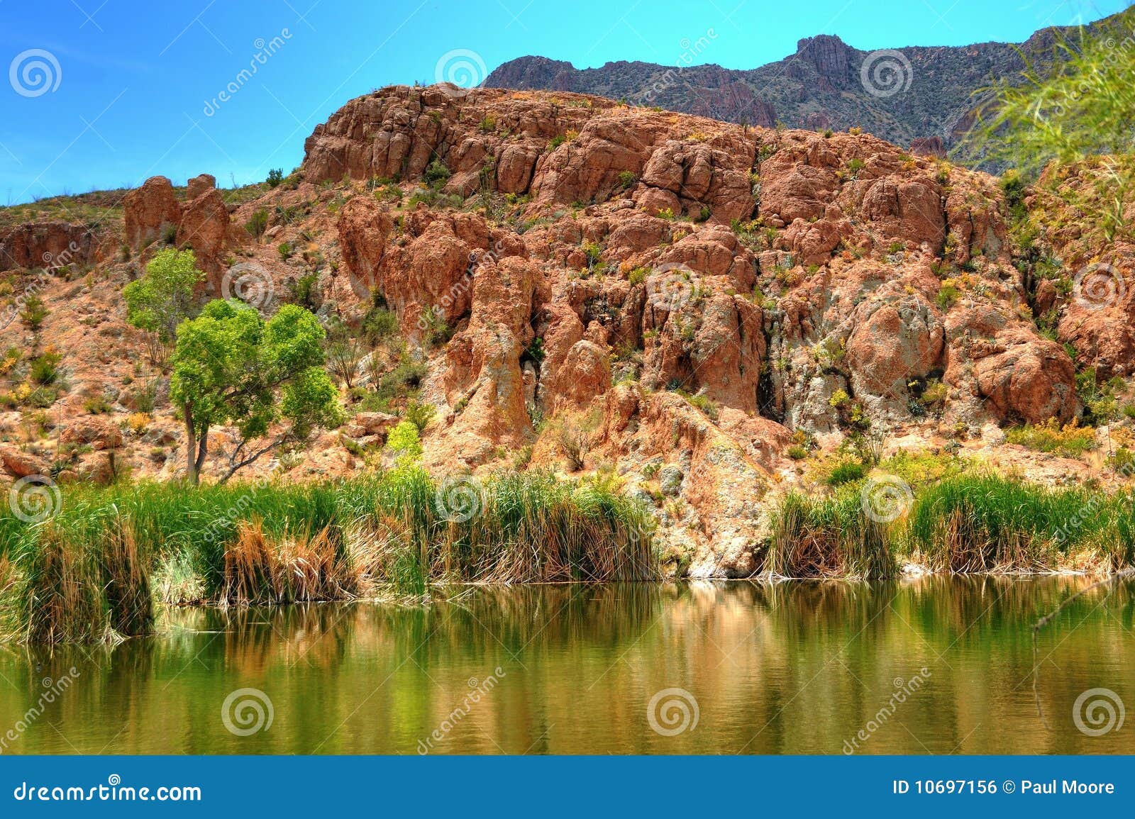 Desert Pond stock photo. Image of pool, scenes, horizontal - 10697156