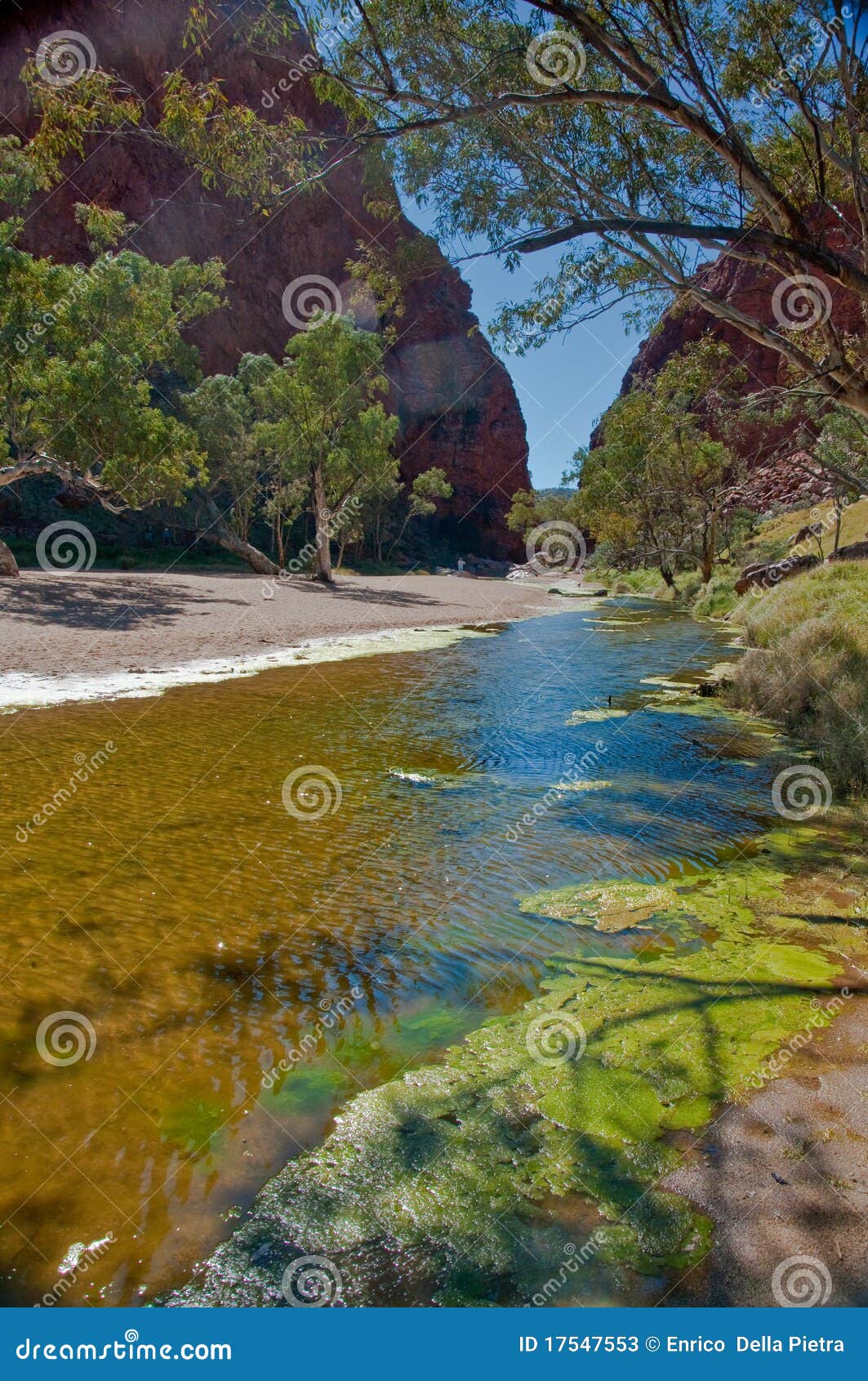 Desert pond stock image. Image of lagoon, terrain, australian - 17547553