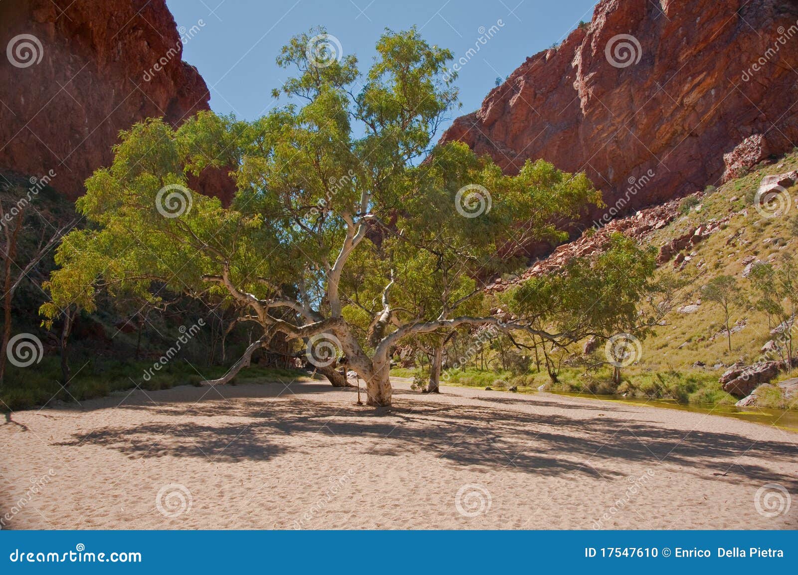 Desert pond stock photo. Image of surreal, scenics, pond - 17547610