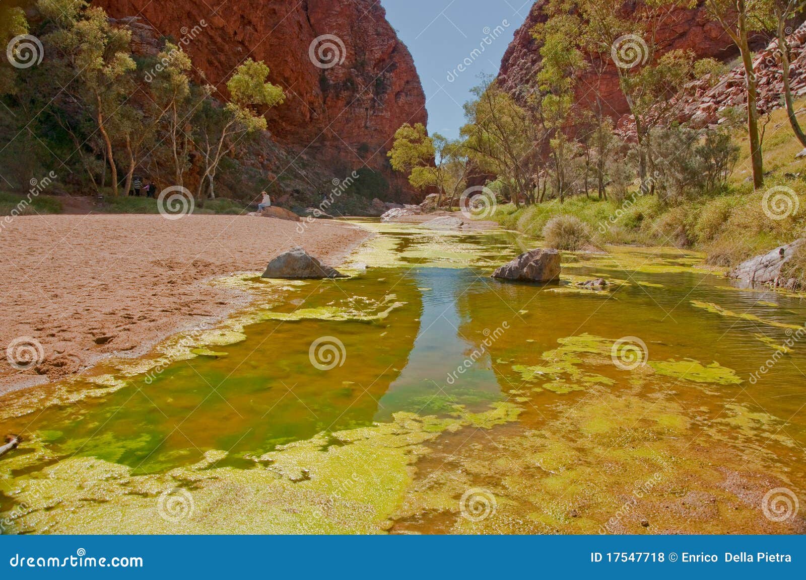 Desert pond stock photo. Image of mountain, place, scenics - 17547718