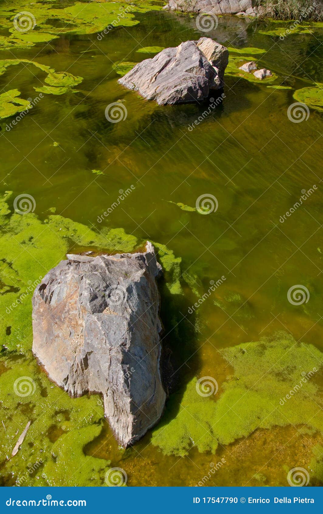 Desert pond stock photo. Image of outback, pond, destination - 17547790