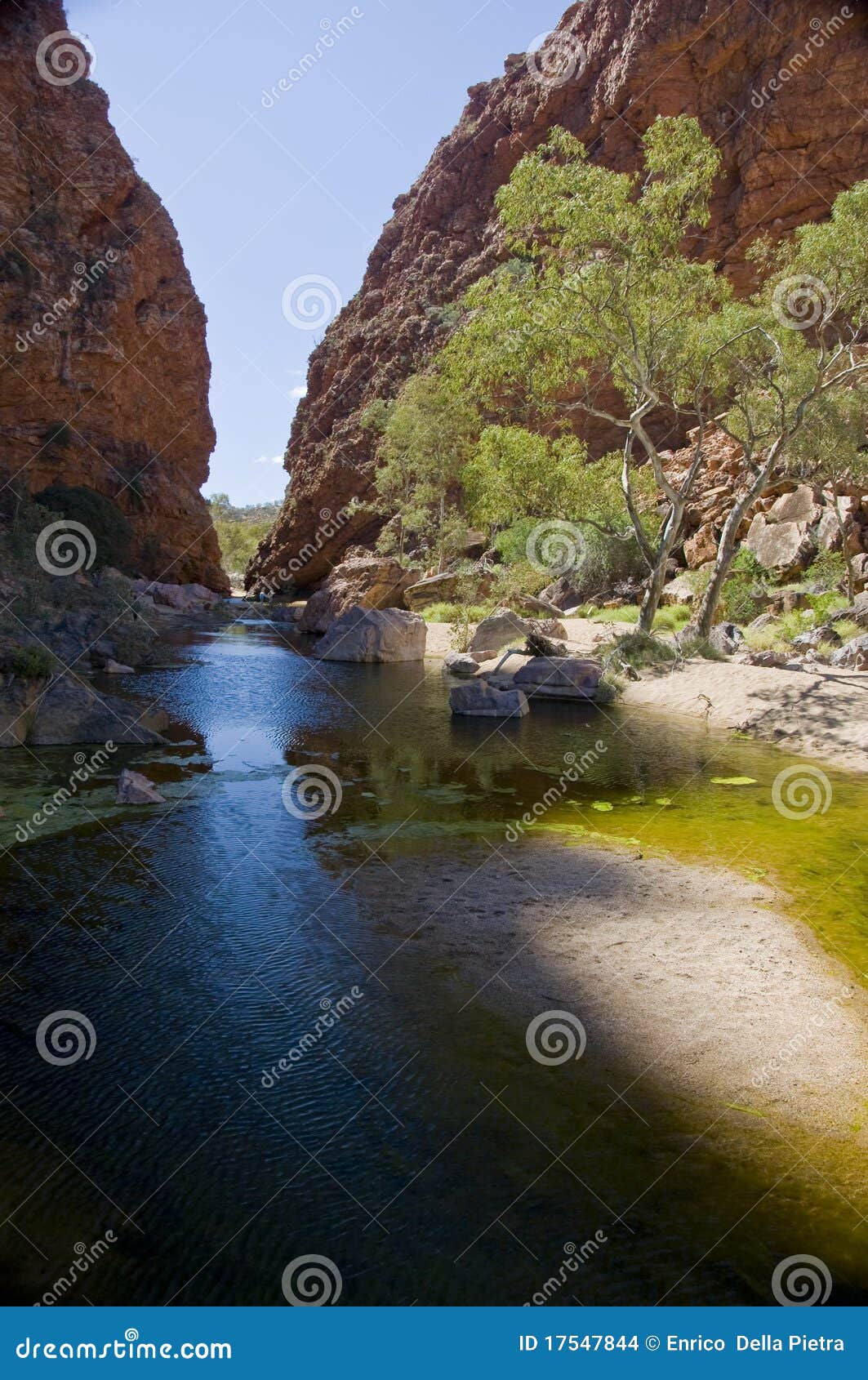 Desert pond stock photo. Image of center, outback, scenics - 17547844