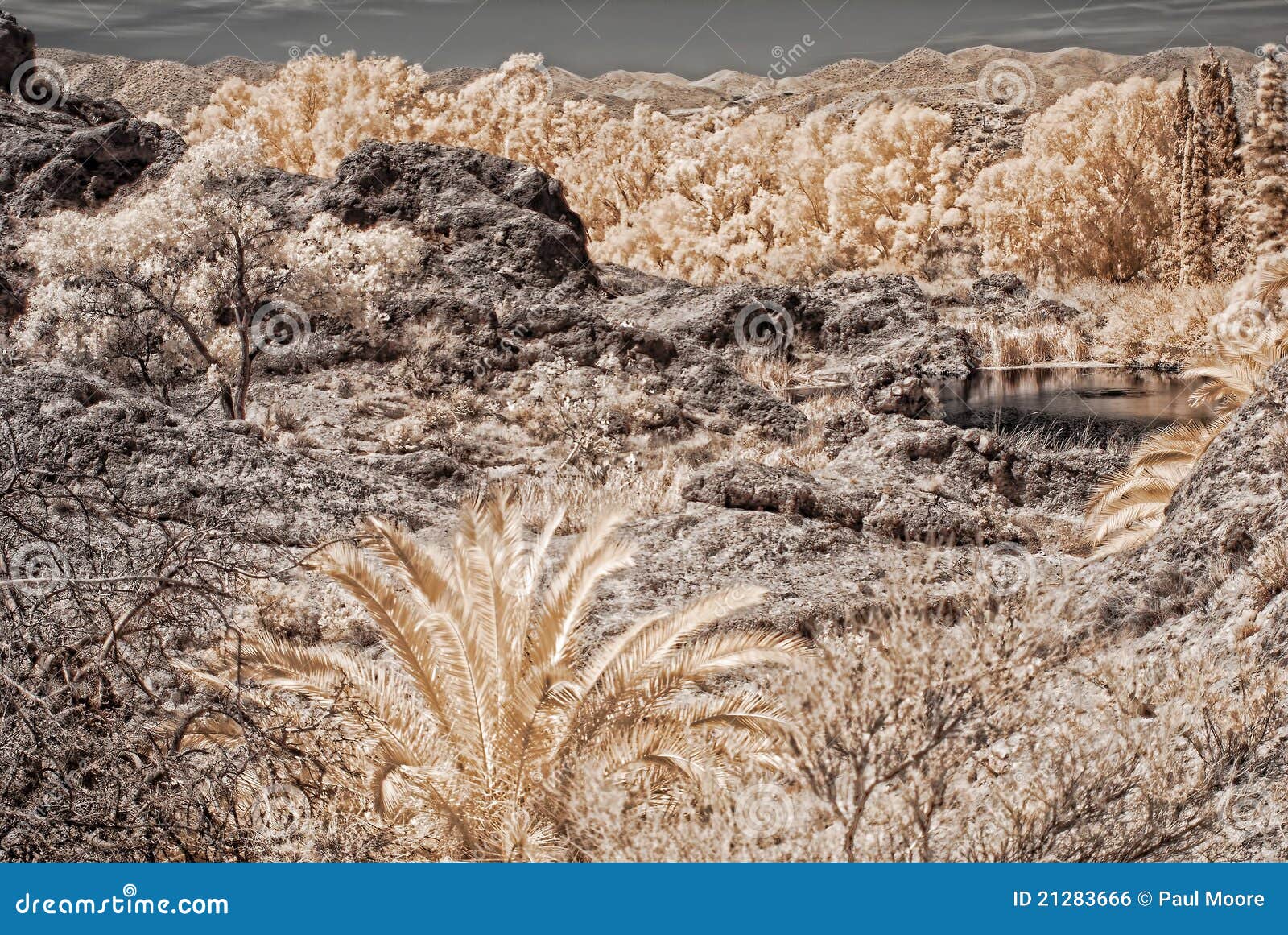 Desert Pond stock photo. Image of pond, boulders, cloud - 21283666