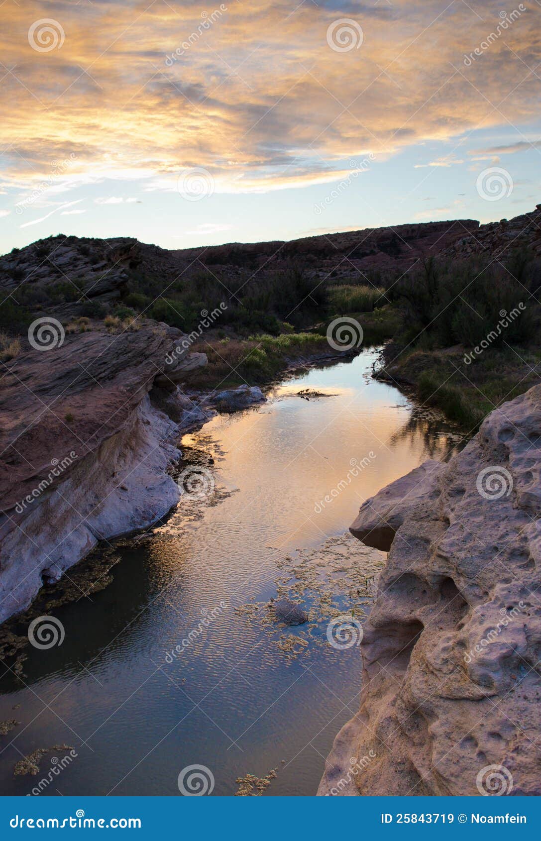 Desert pond stock image. Image of southwestern, sunset - 25843719