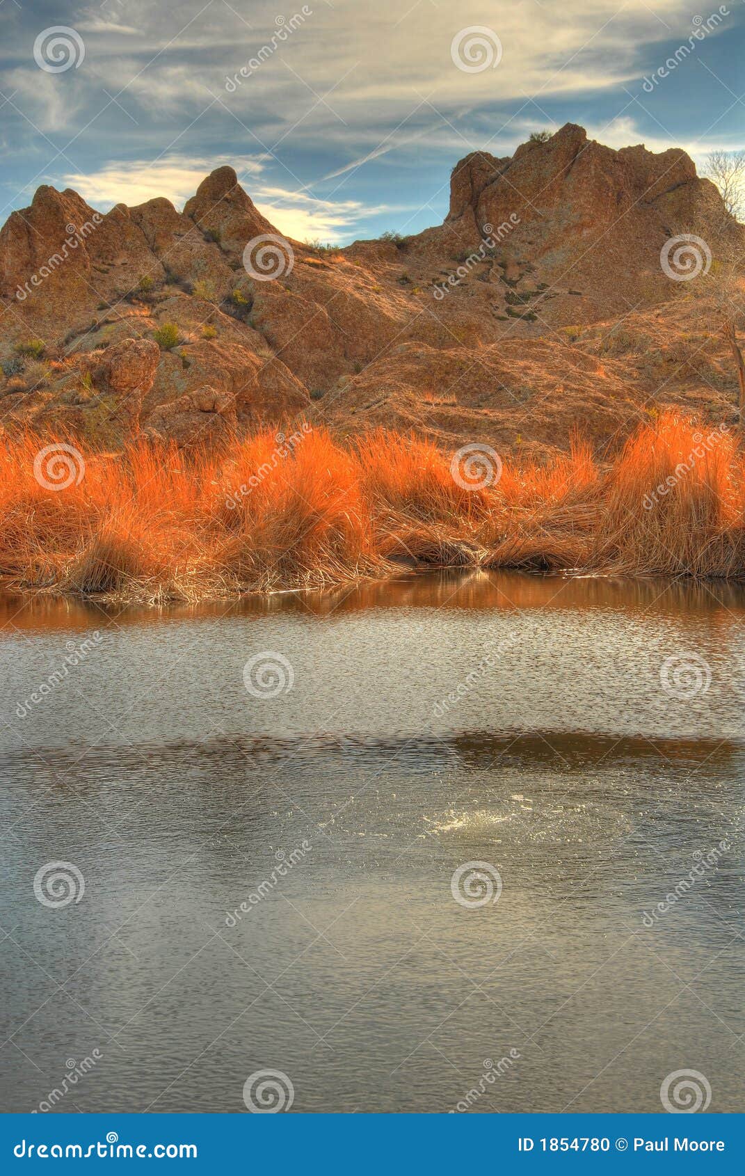 Desert Pond 5 stock photo. Image of boulder, calm, pool - 1854780
