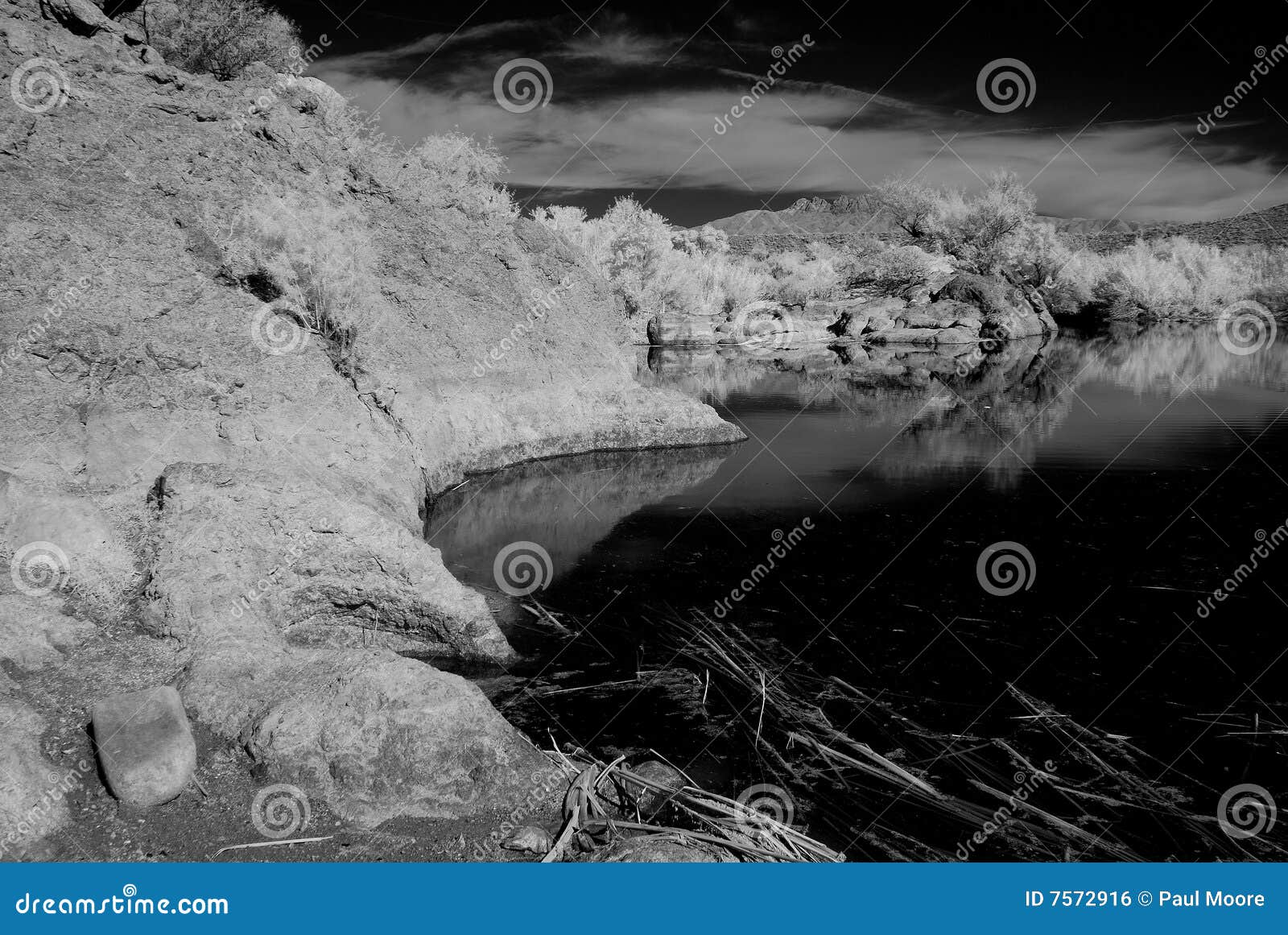 Desert Pond stock photo. Image of peak, natural, monochrome - 7572916