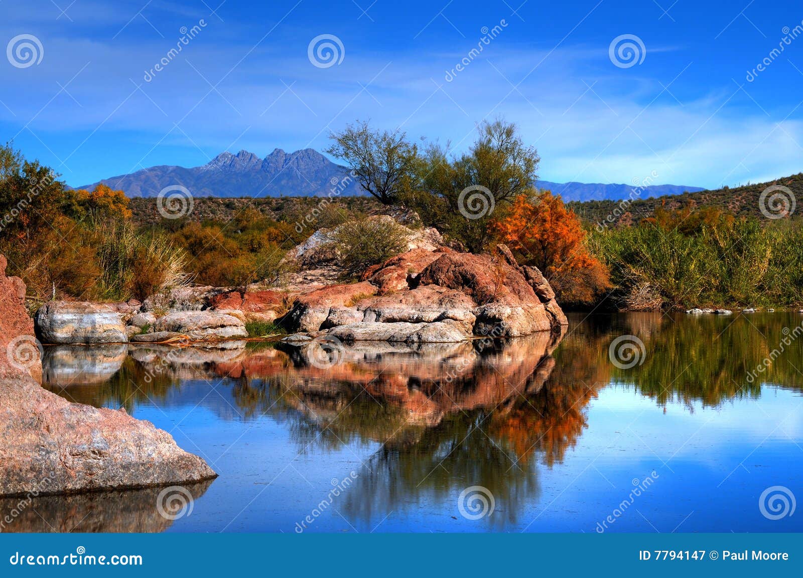 Desert Pond stock image. Image of cloud, juniper, desert - 7794147
