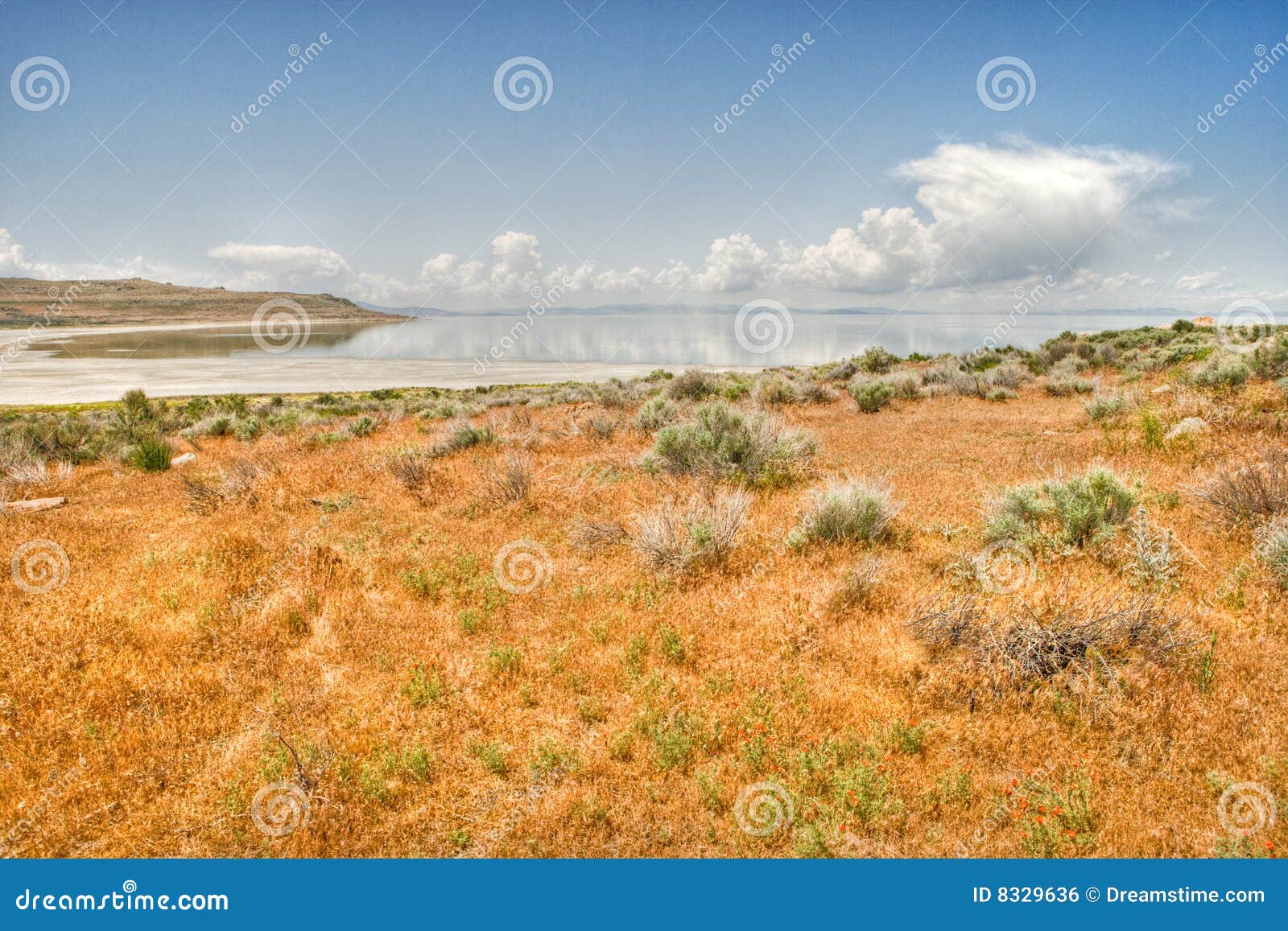 Desert prairie and lake stock photo. Image of land, clouds - 8329636