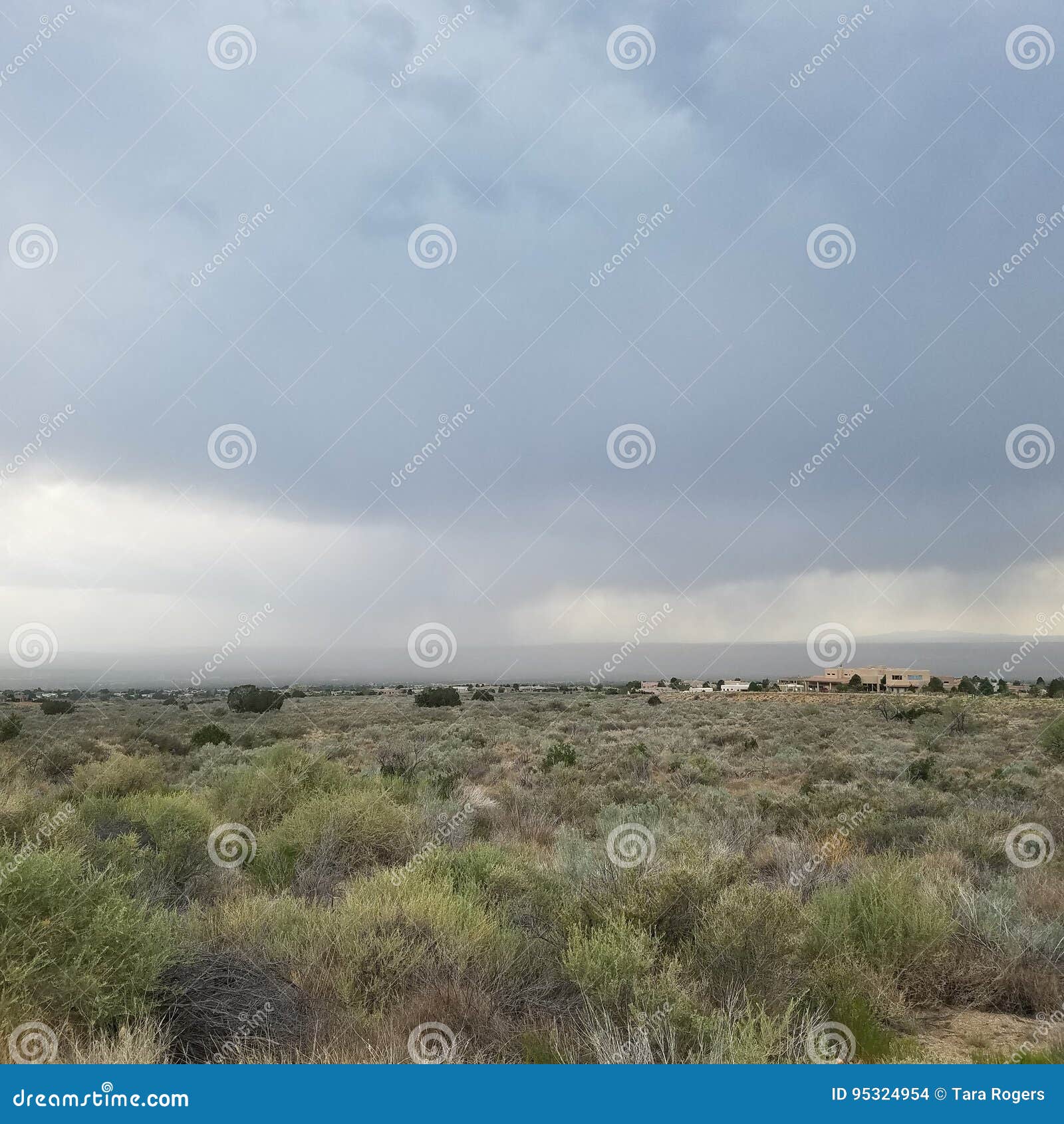 Desert Rainstorm stock photo. Image of rainstorm, blowing - 95324954