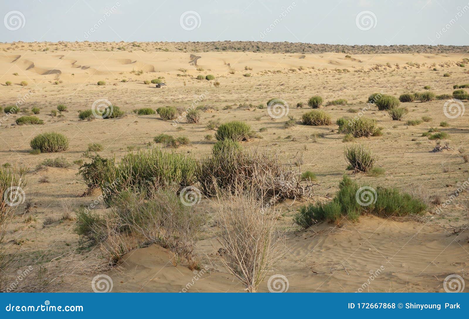 Desert in Rajasthan State of India Stock Photo - Image of hill ...