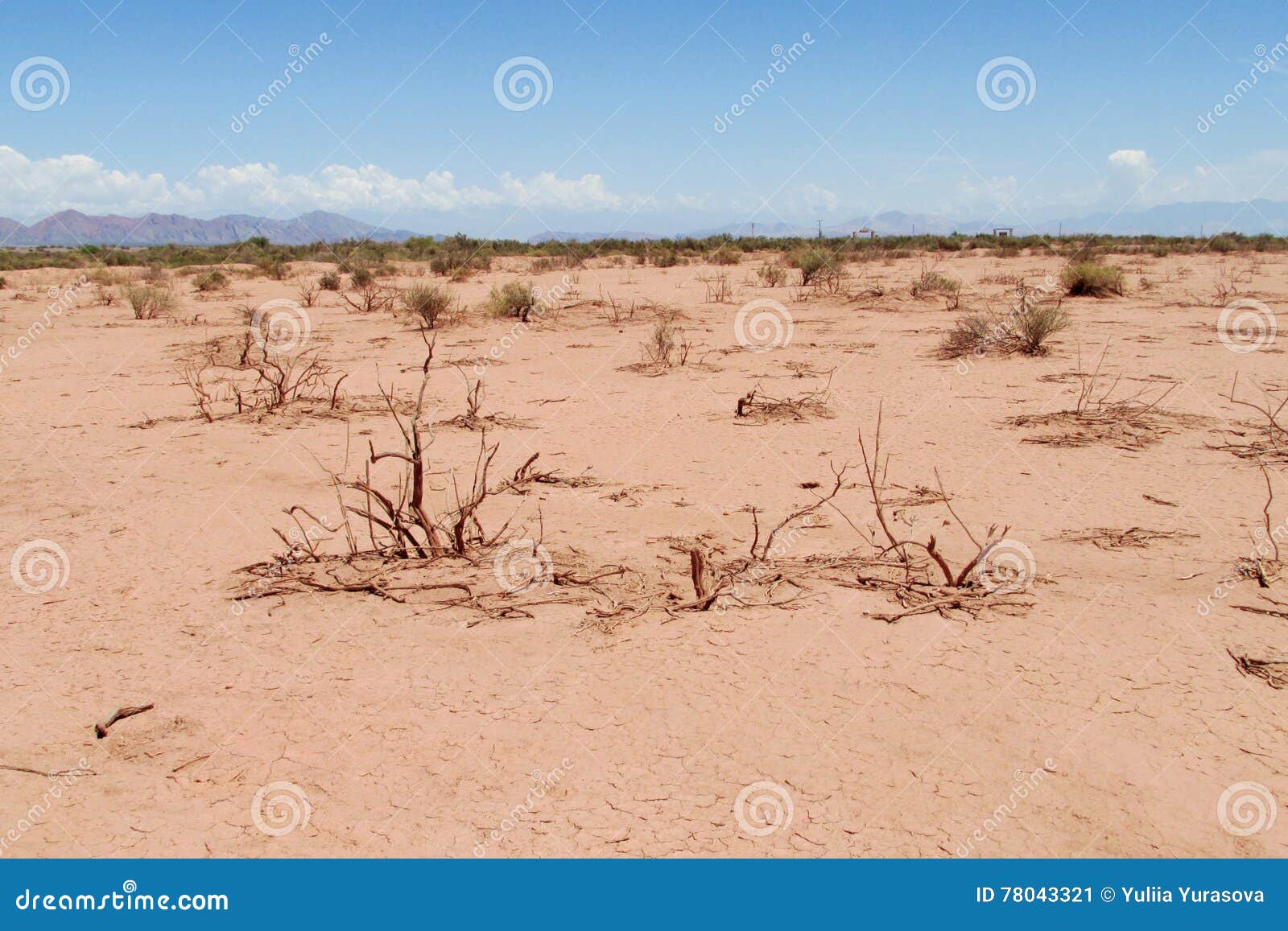 Desert Red Sandy Soil and Bushes on it Stock Image - Image of aboriginal, beautiful: 78043321