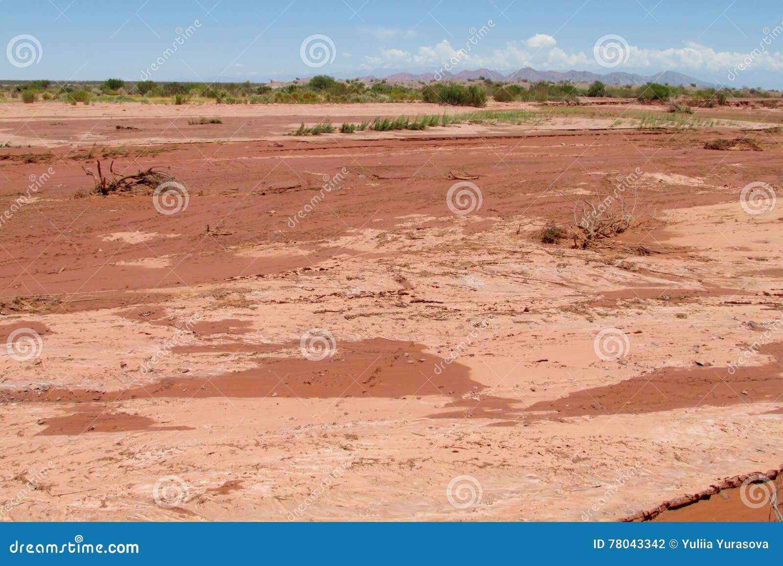 Desert Red Soil in a River Bed Stock Photo - Image of aussie, mountain ...