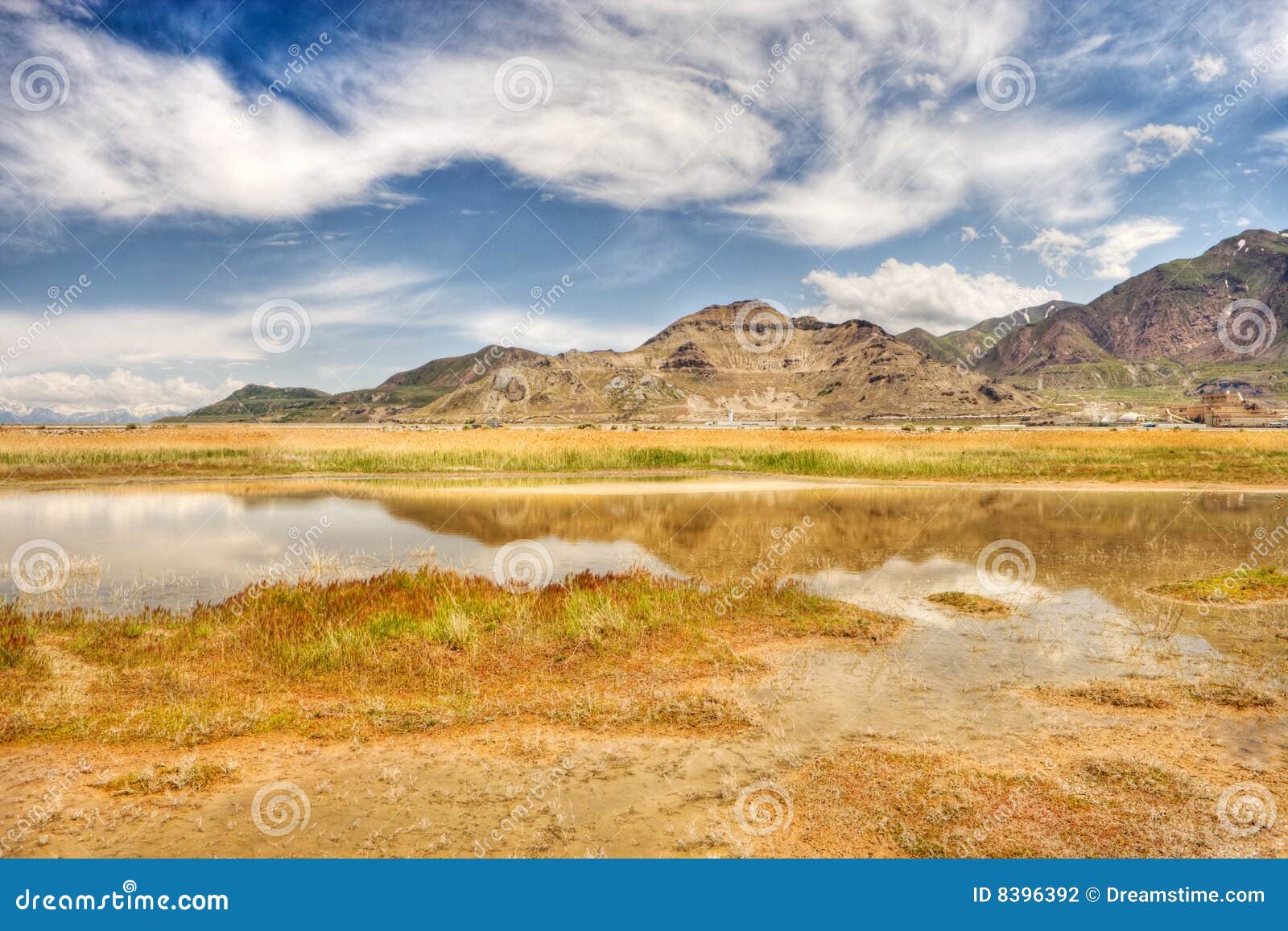 Desert Reflections in Surface Water Stock Photo - Image of arid ...