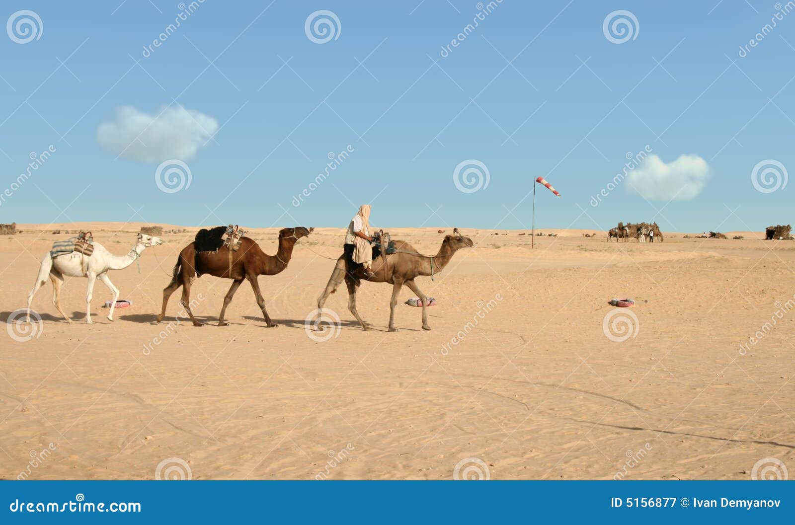 Desert Ride Picture. Image: 5156877