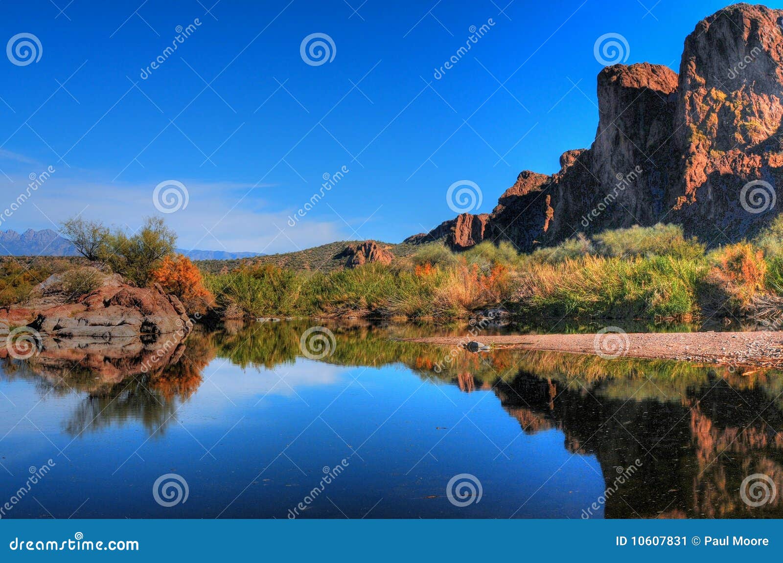 Desert River stock image. Image of open, vegetation, southwestern ...