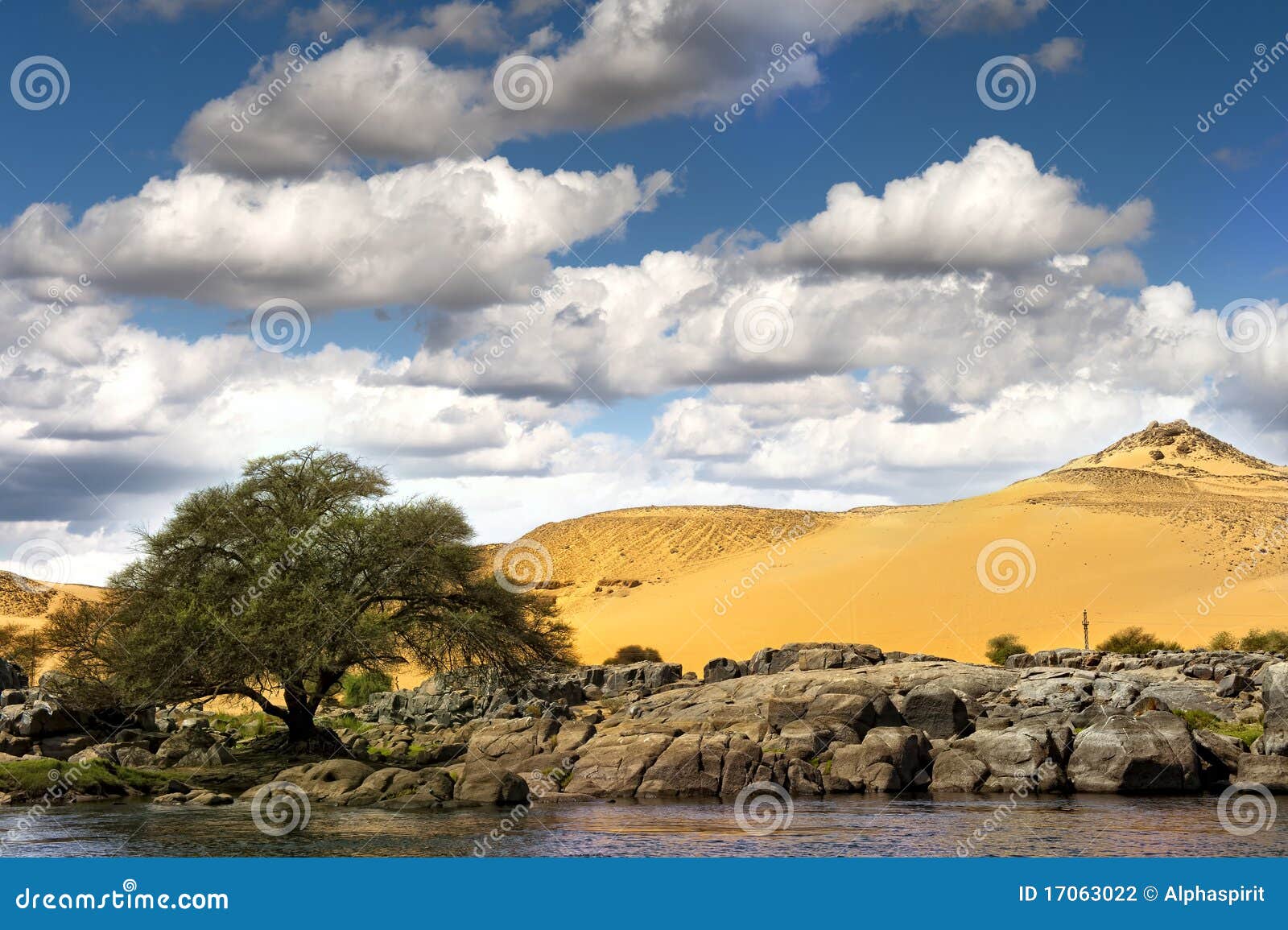 Desert and river stock photo. Image of mountain, tree - 17063022