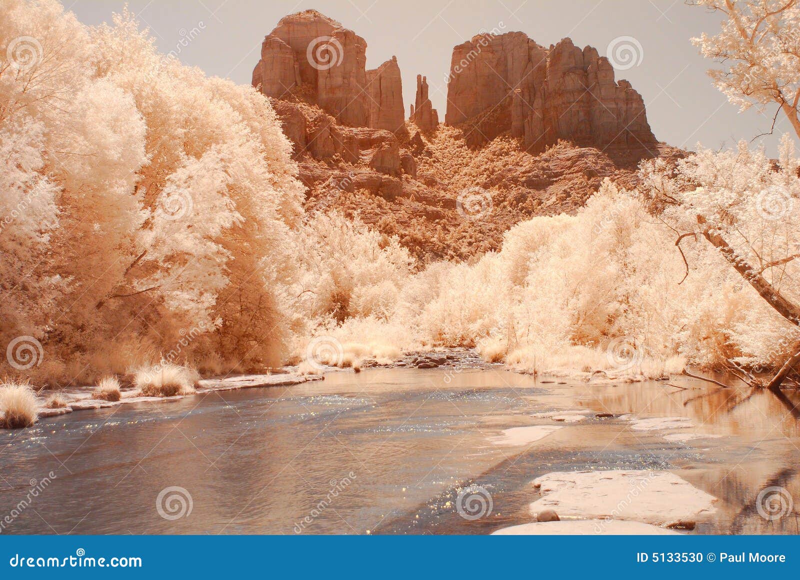 Desert River stock photo. Image of mountains, creek, sonora - 5133530