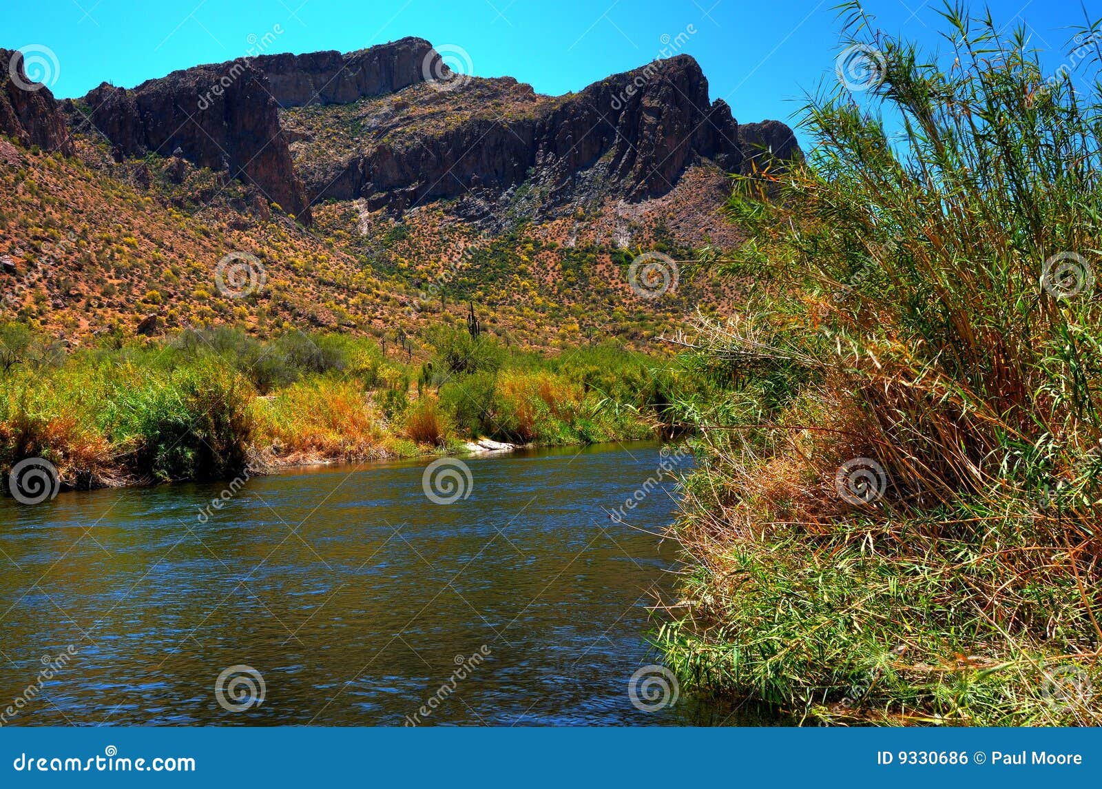 Desert River stock photo. Image of mountain, arizona, bright - 9330686