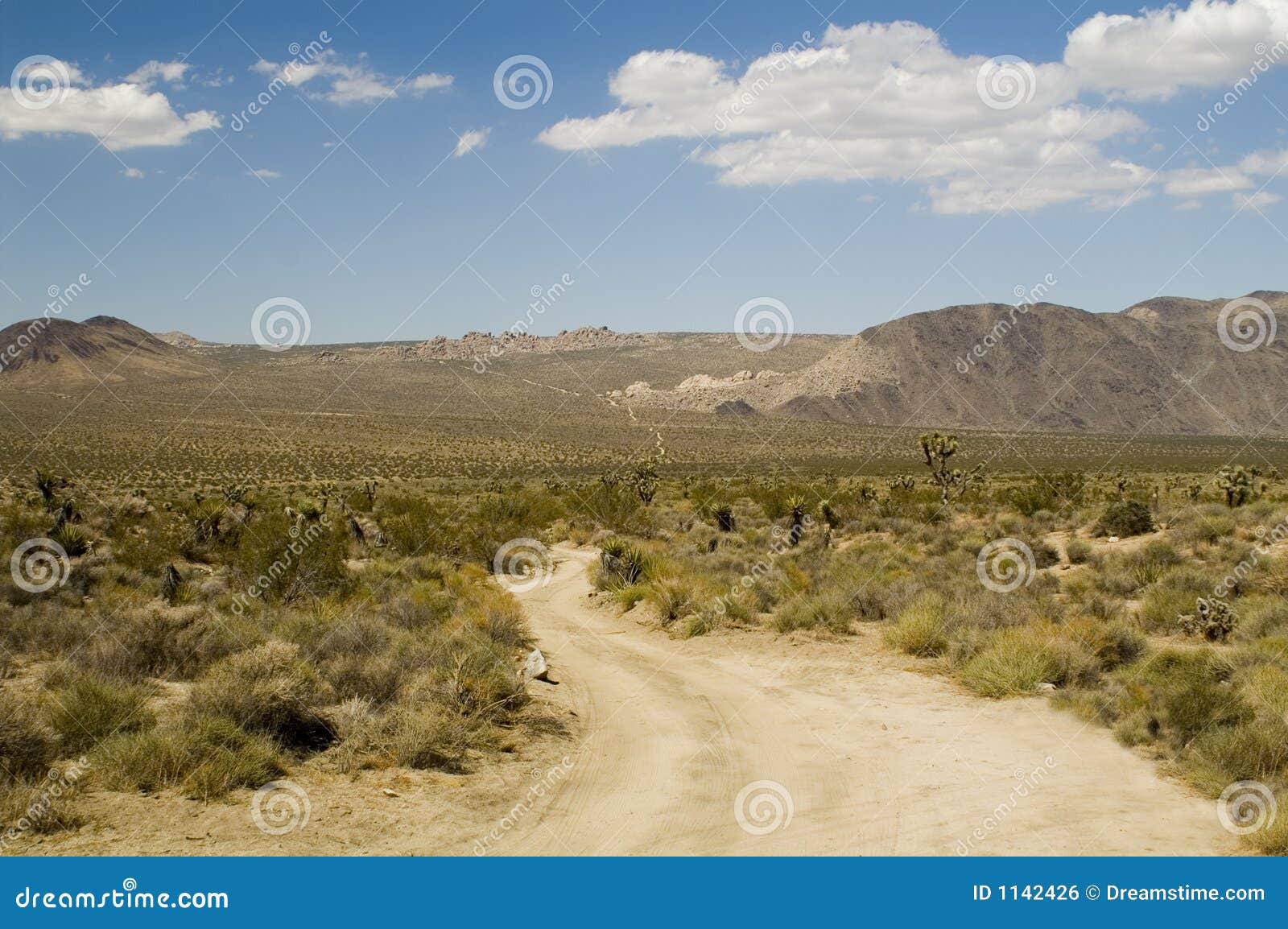 Desert Road stock photo. Image of nature, gorgeous, desert - 1142426