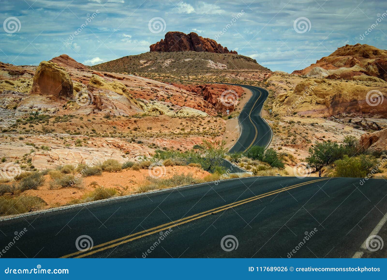 Desert Road Picture. Image: 117689026