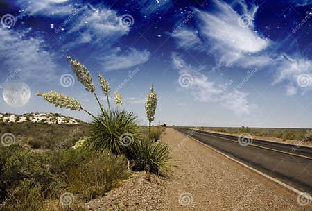 Desert Road stock photo. Image of dune, horizontal, outdoors - 16539240