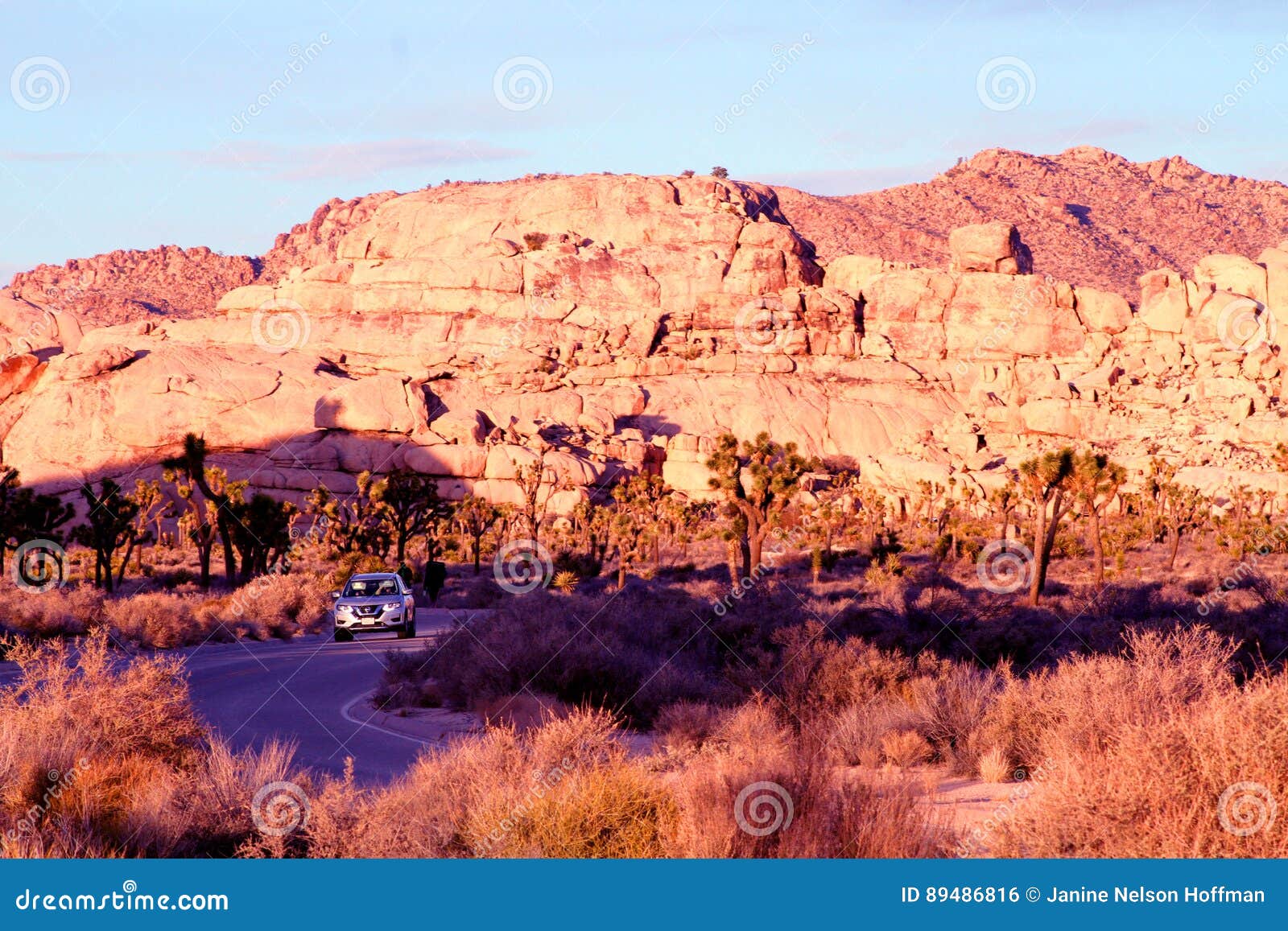 Desert Road in Joshua Tree State Park Editorial Photo - Image of ...