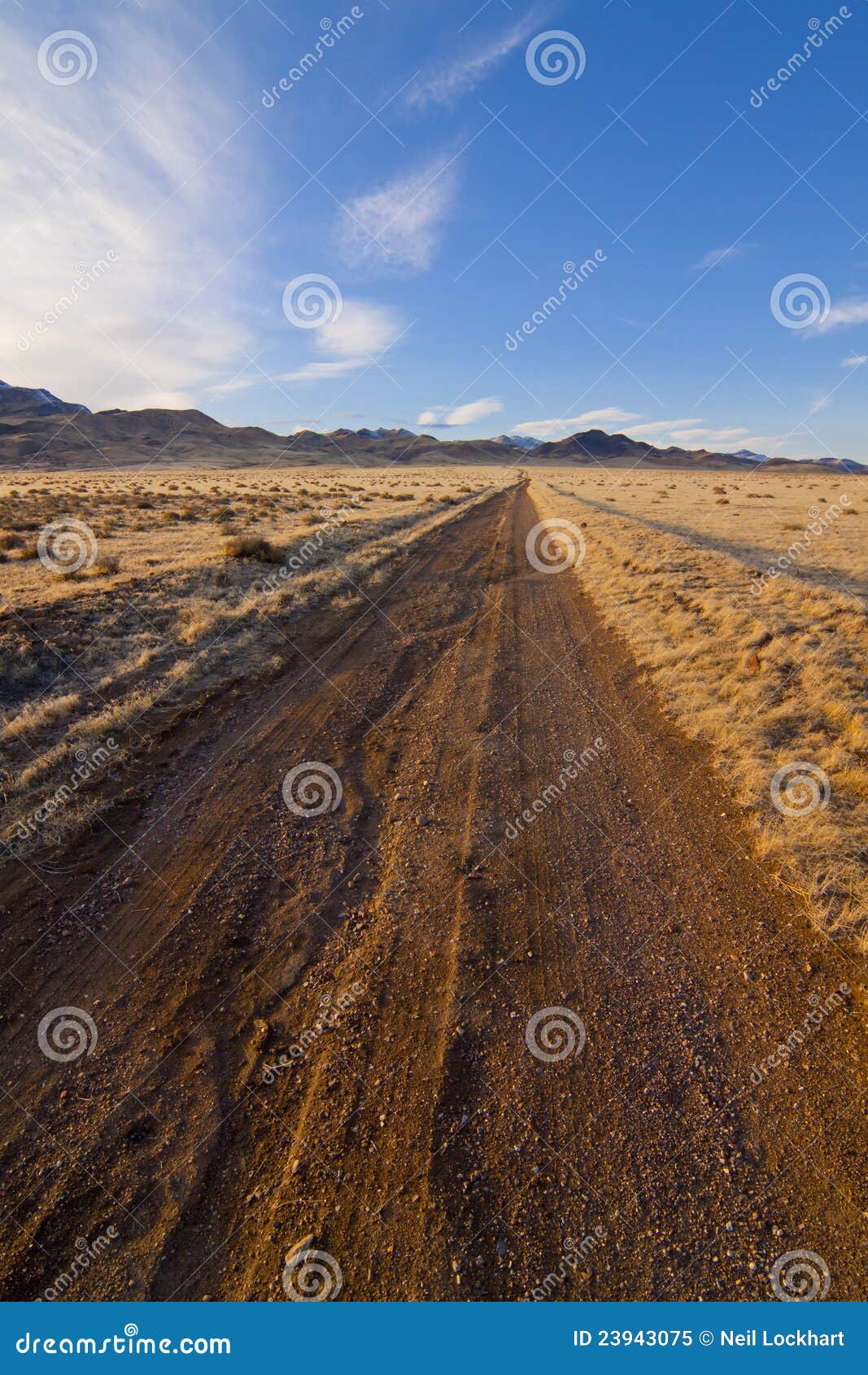 Desert Road Vertical stock image. Image of brush, exploration - 23943075