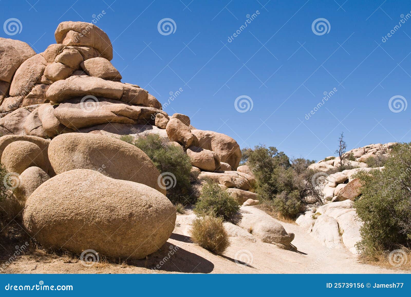 Desert Rocks stock photo. Image of park, tree, desert - 25739156