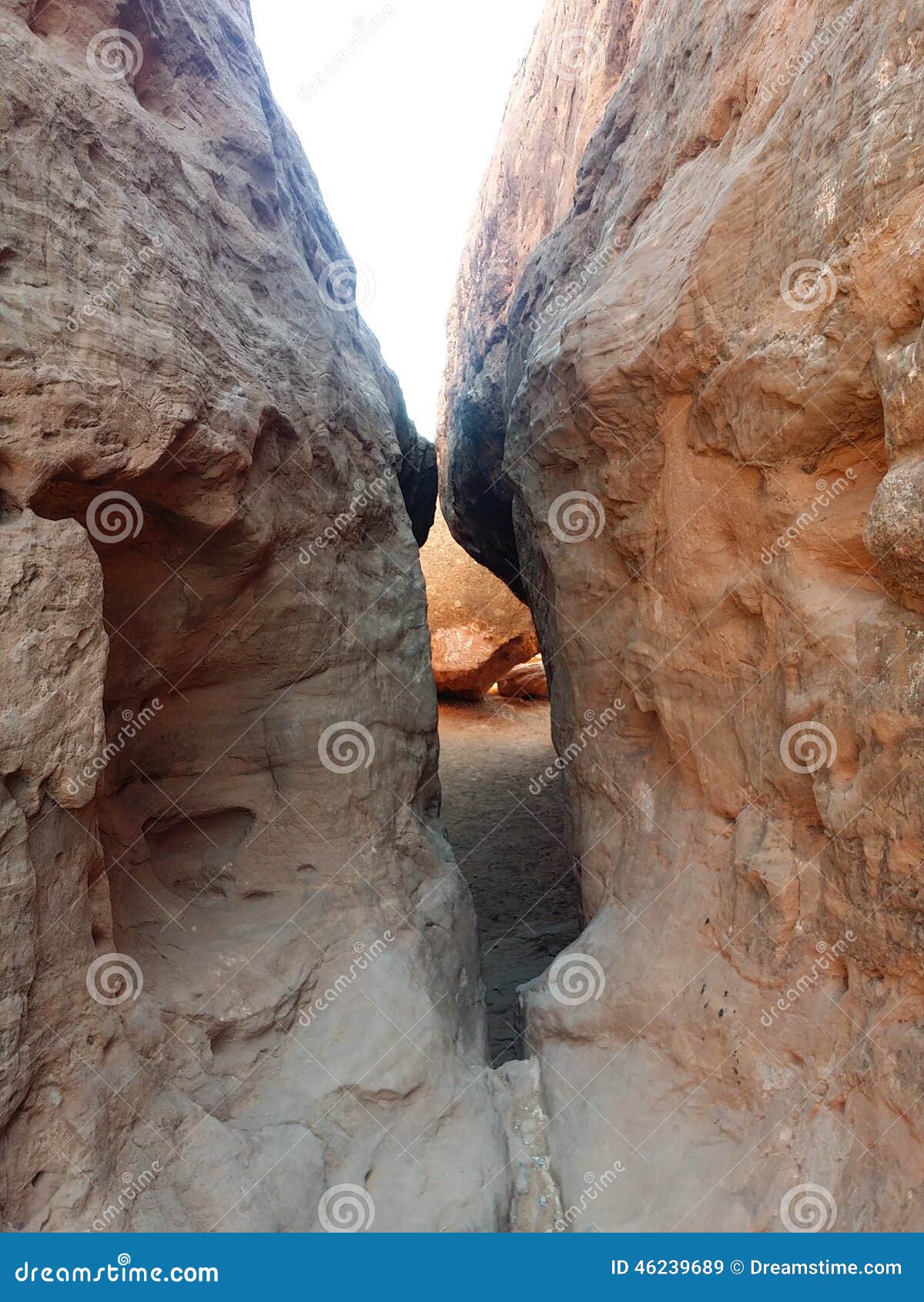Desert Red Rocks Erosion Trees Collage Royalty-Free Stock Image ...