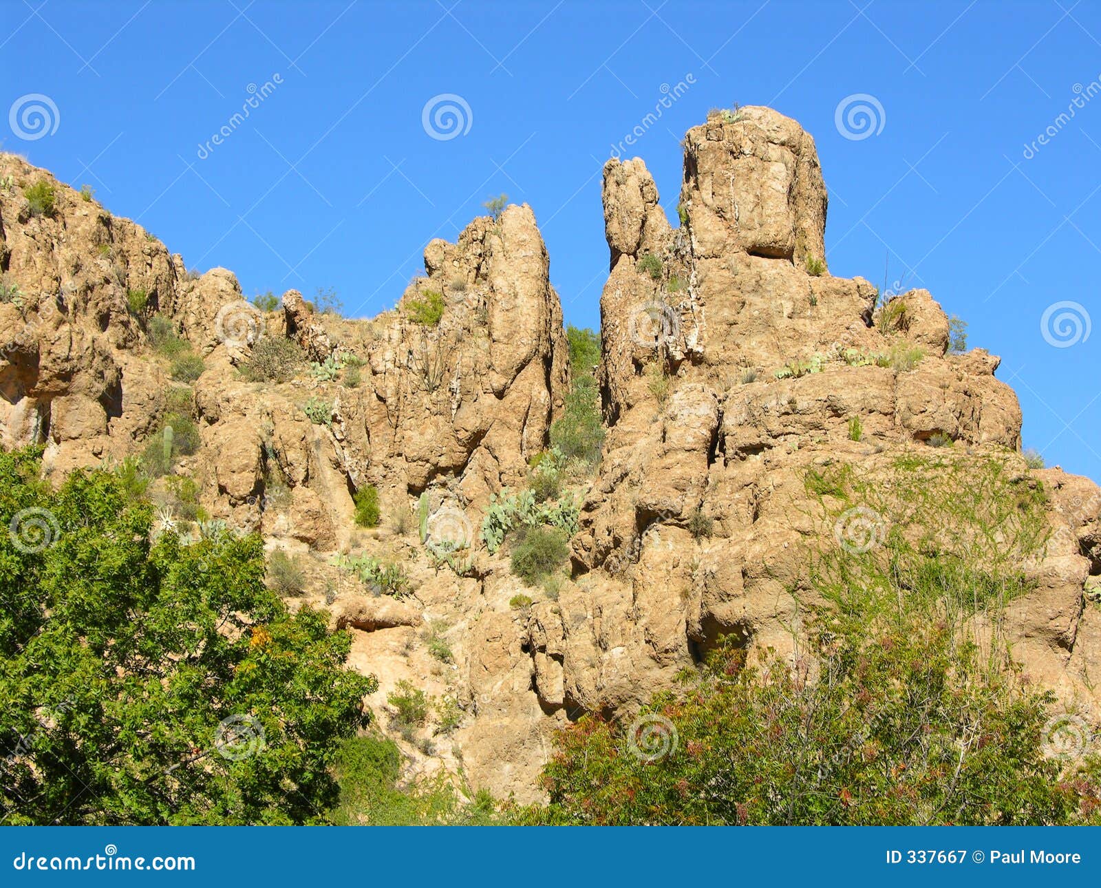 Desert Rocks One stock image. Image of rocks, tree, national - 337667