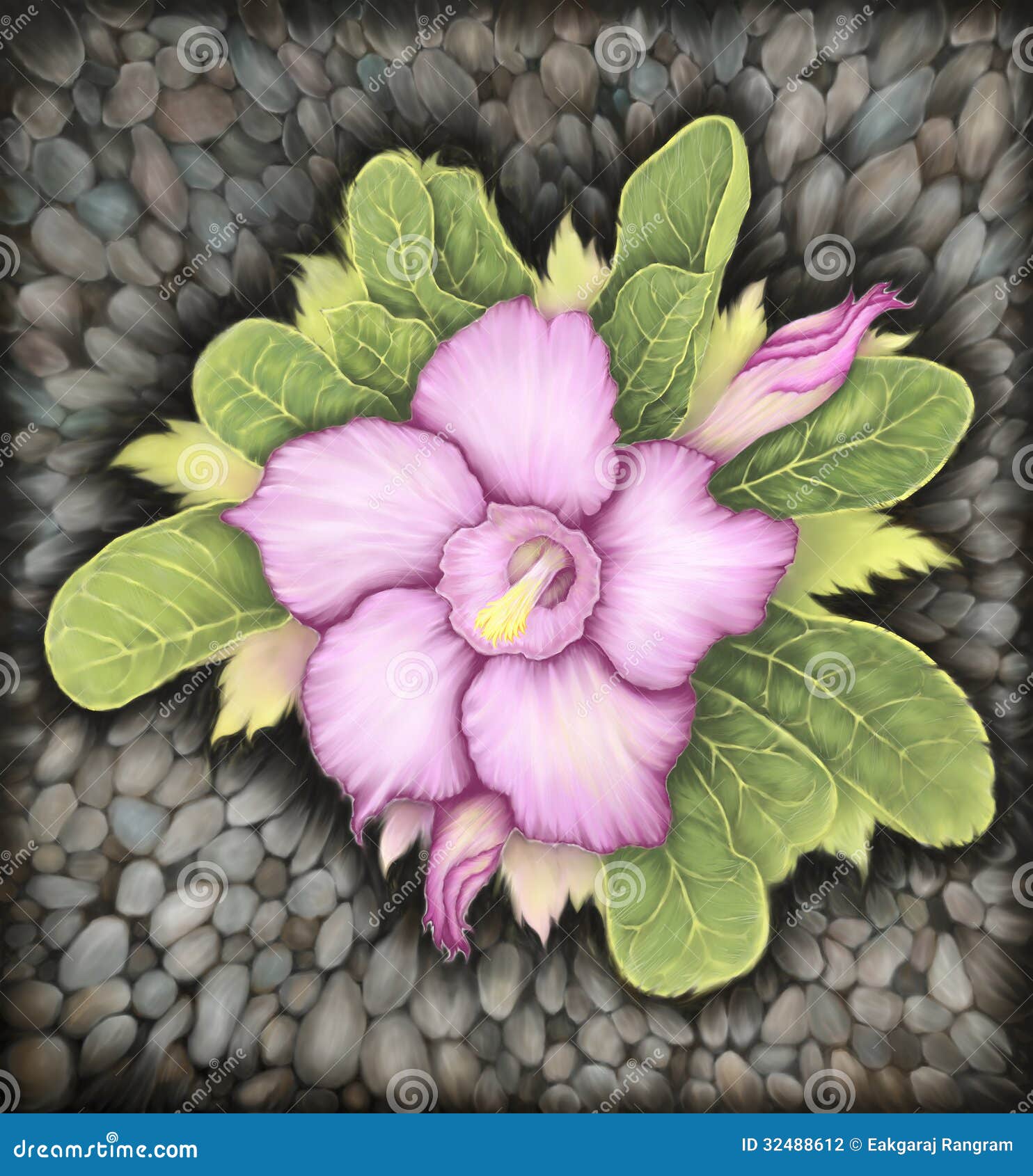 Desert Rose Flowers stock illustration. Illustration of rose - 32488612